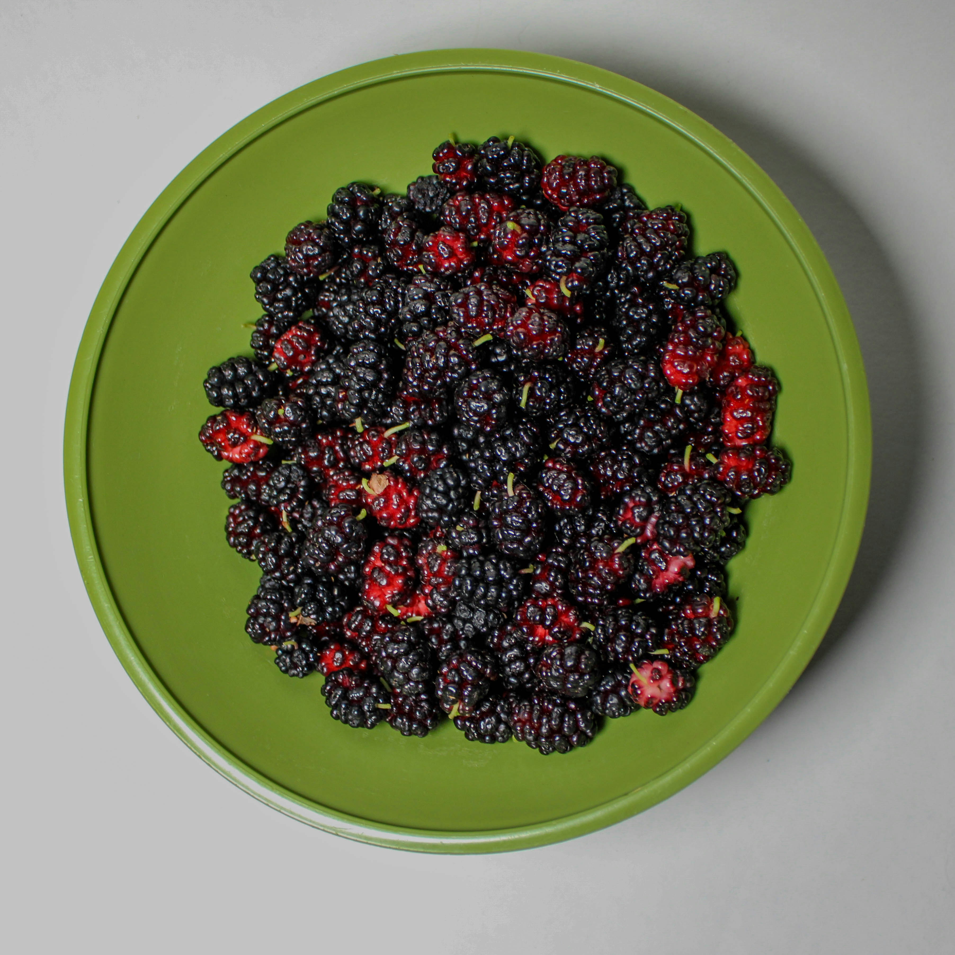 Green Plate, Dusky Berries: A Bowl of Ripe Blackberries