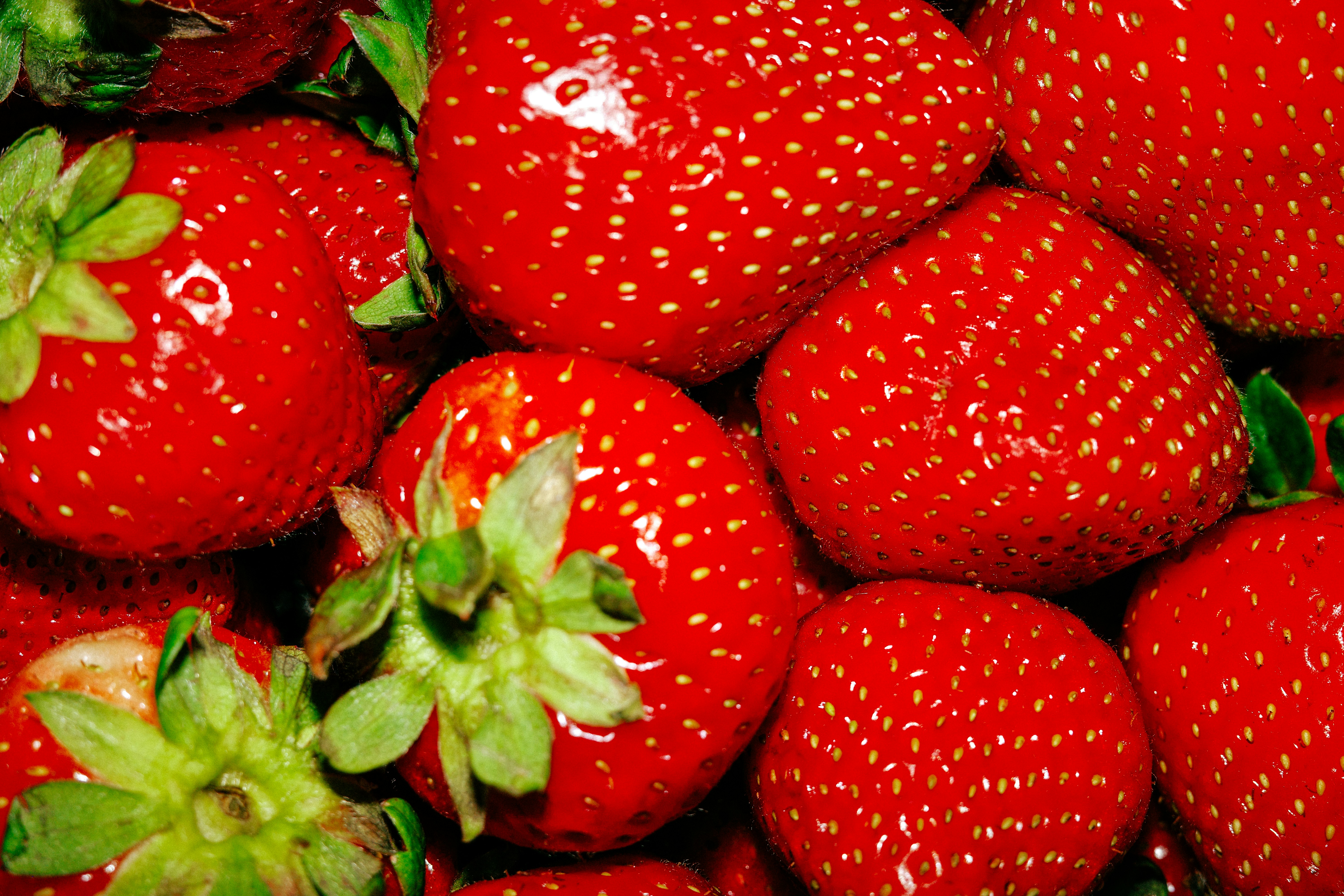 Close-up Harvest: A Patchwork of Silky Red Strawberries