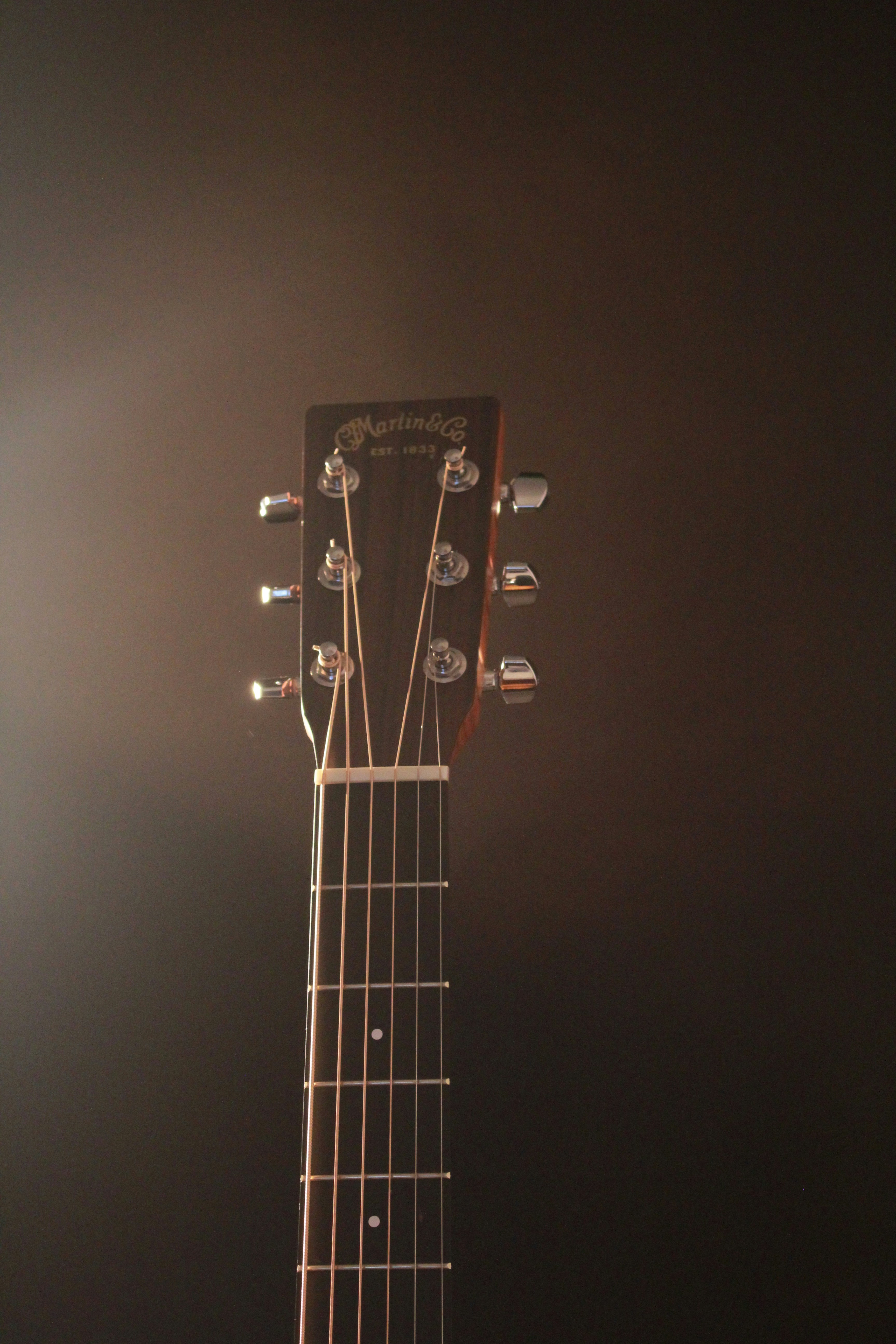 Glistening Guitar Headstock in a Soft Spotlight