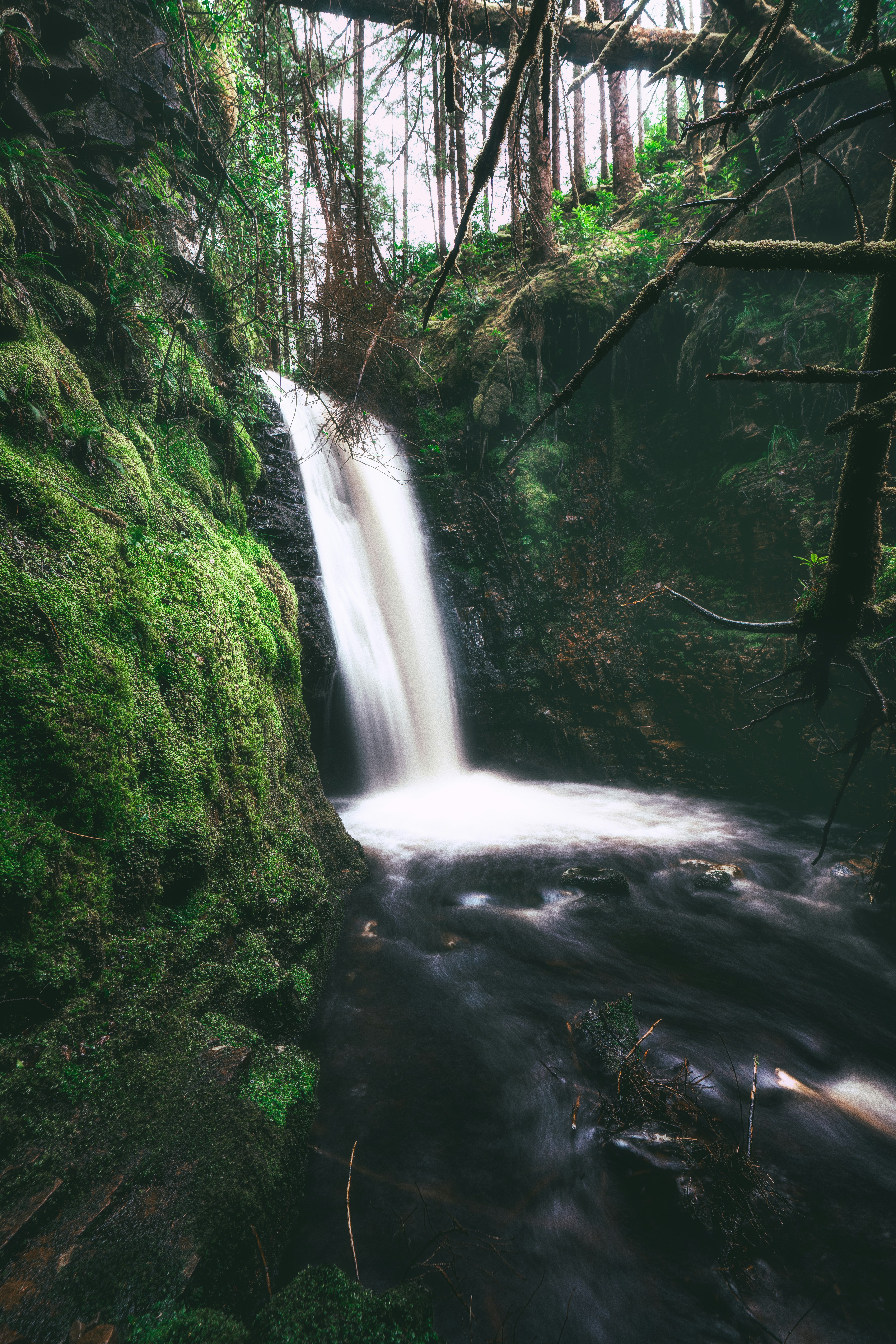 Vivid waterfall cascades through moss-covered rocks in a lush forest, captured with soft, long-exposure rendering the stream as a silky veil.