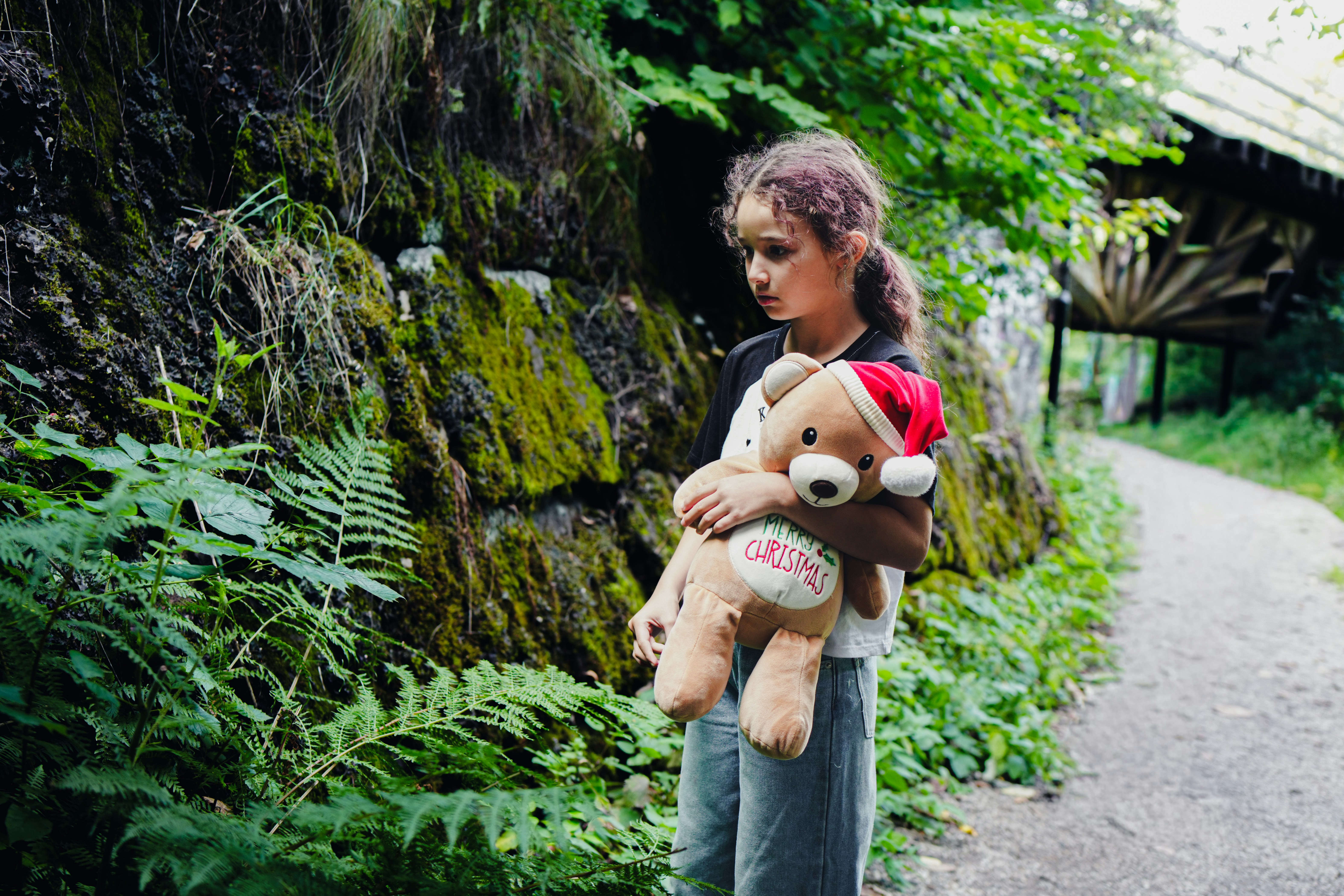 Holding Christmas in the Fern-Shaded Path