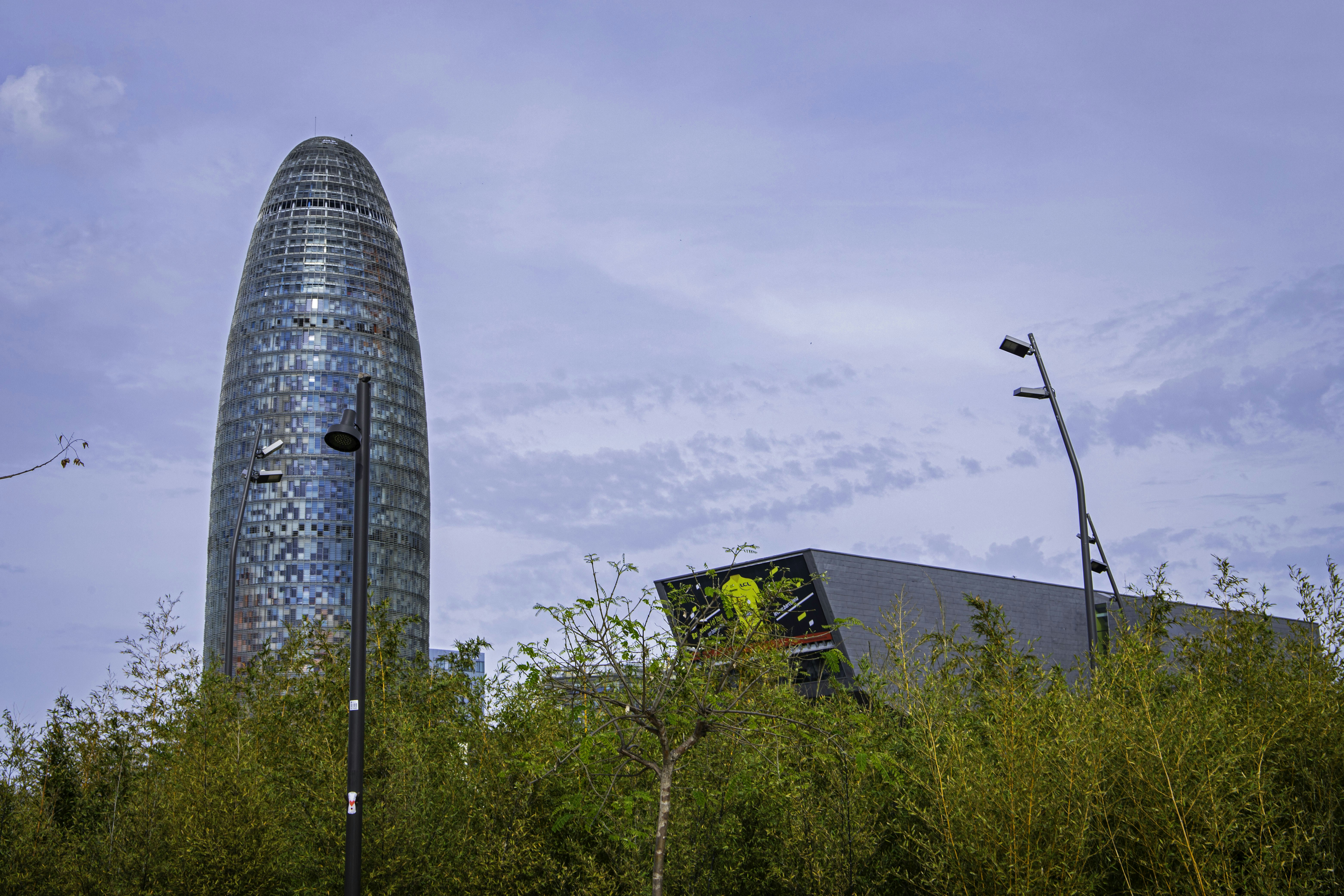 Urban Icon Rising: The Smooth Glass of a Modern Tower Above Verdant Greens
