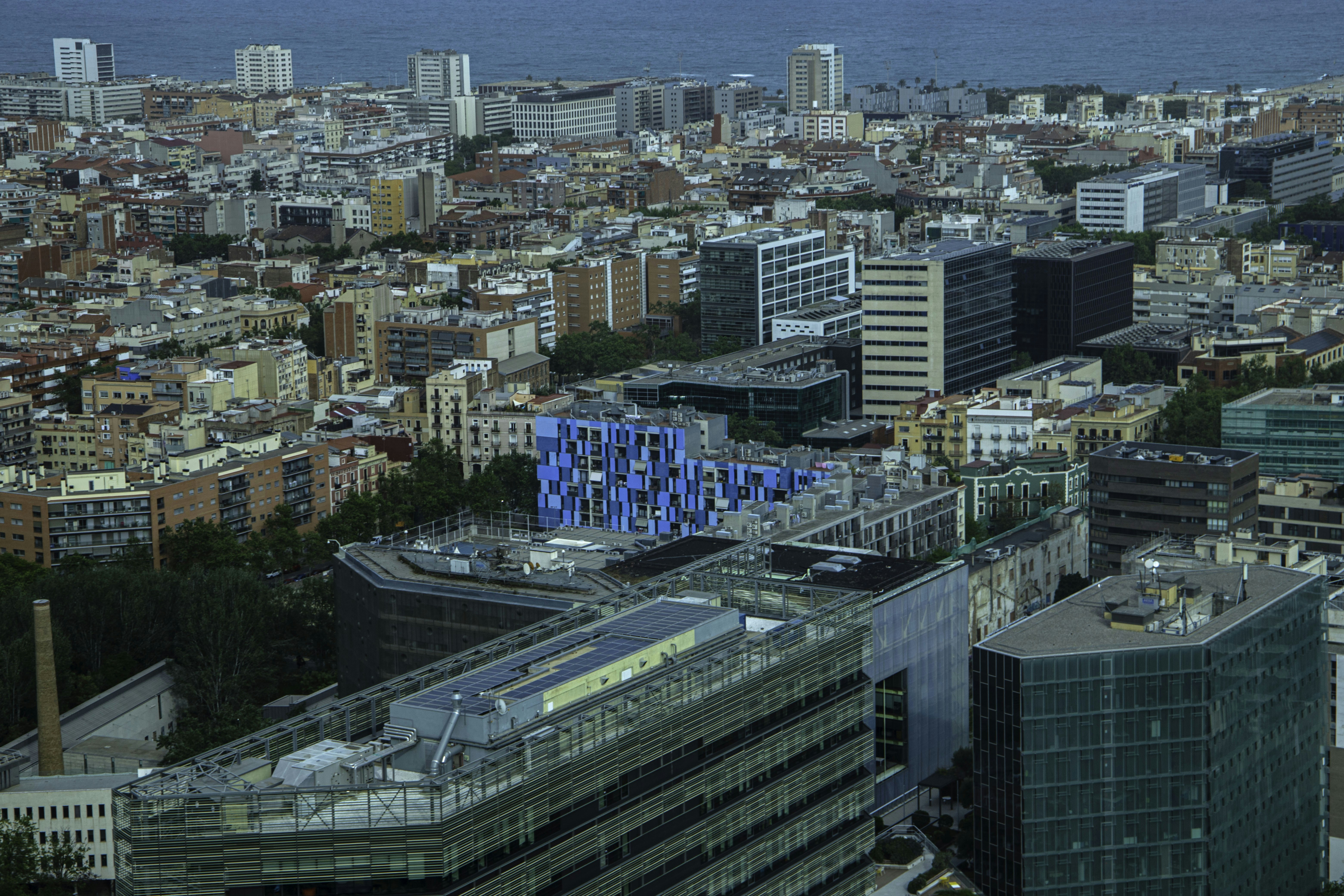 Blue Civic Facade: Aerial View of a Coastal City Core