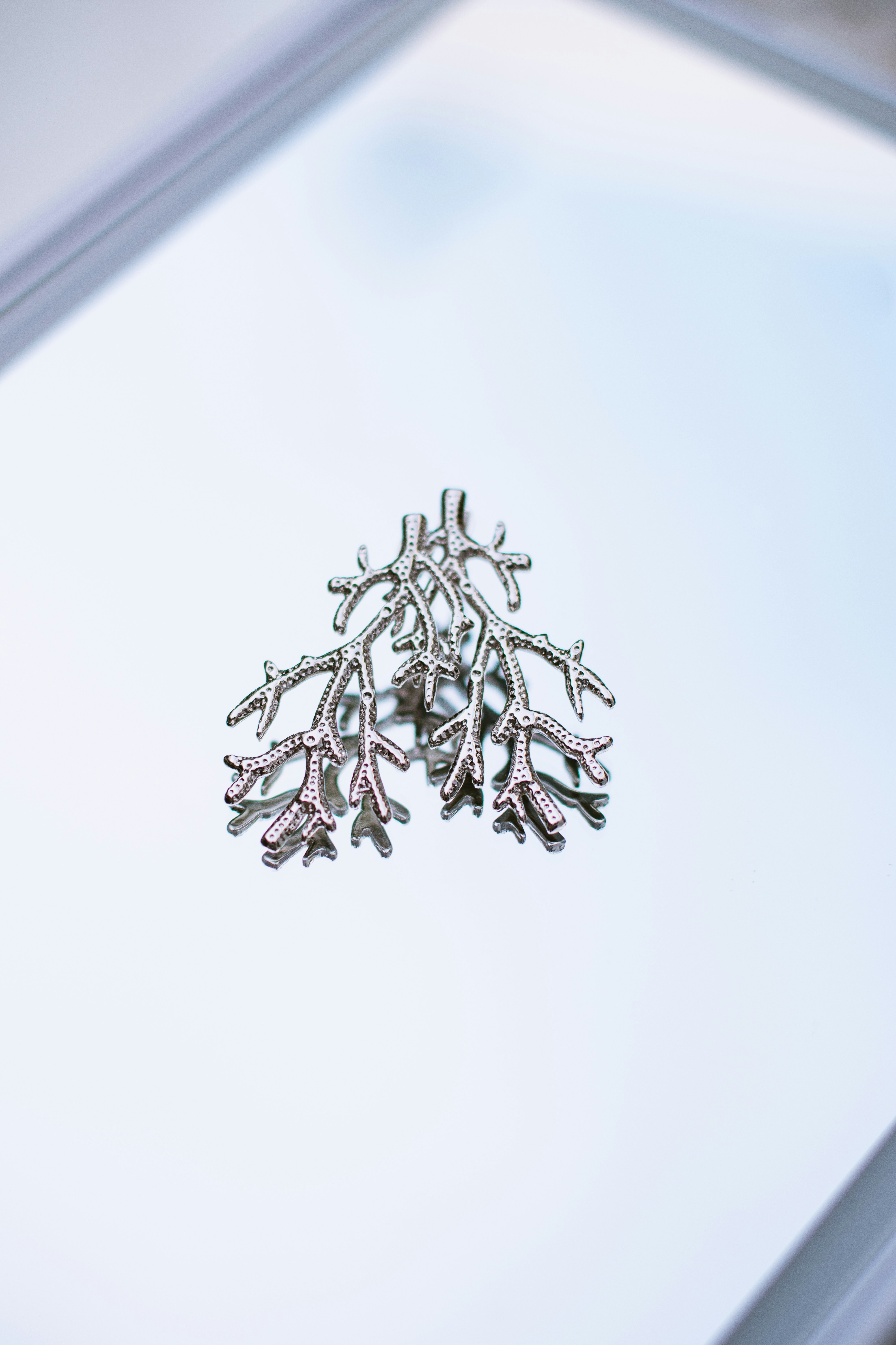 Icework: a delicate coral-like snowflake on glass