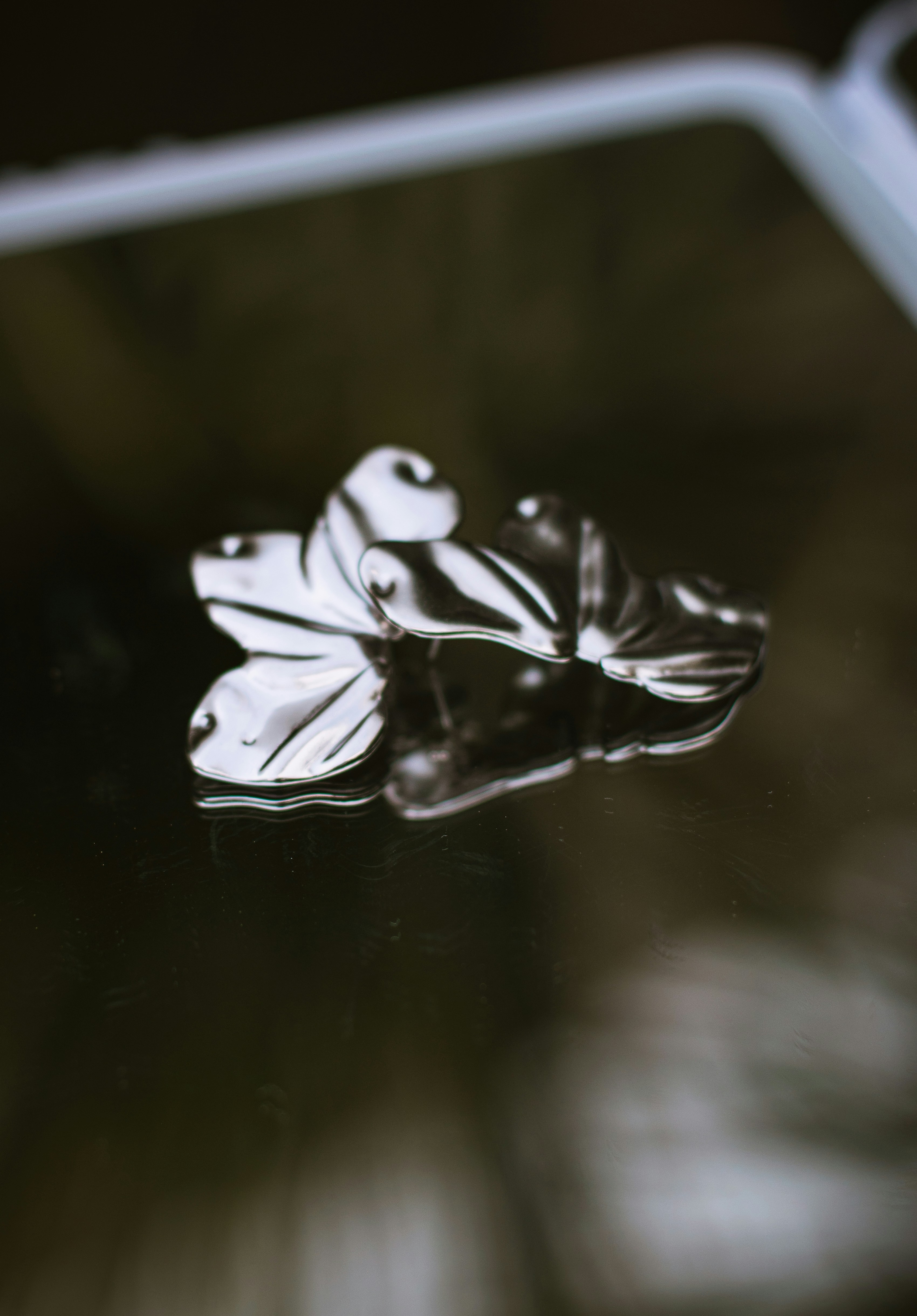 Reflection of a Petal: A Close-up on Glass Ocean