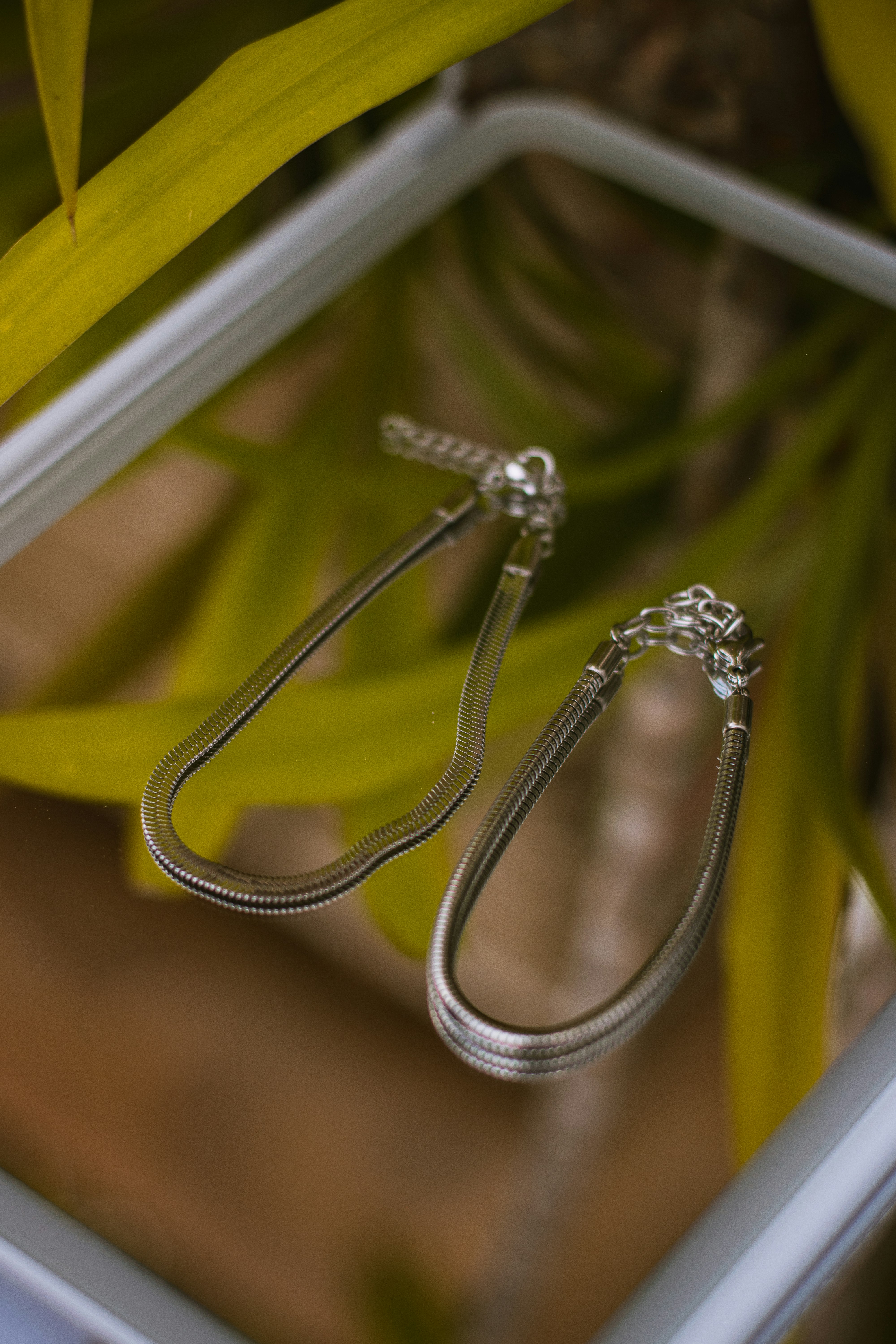 Coiled silver jewelry resting in a shallow tray among green leaves