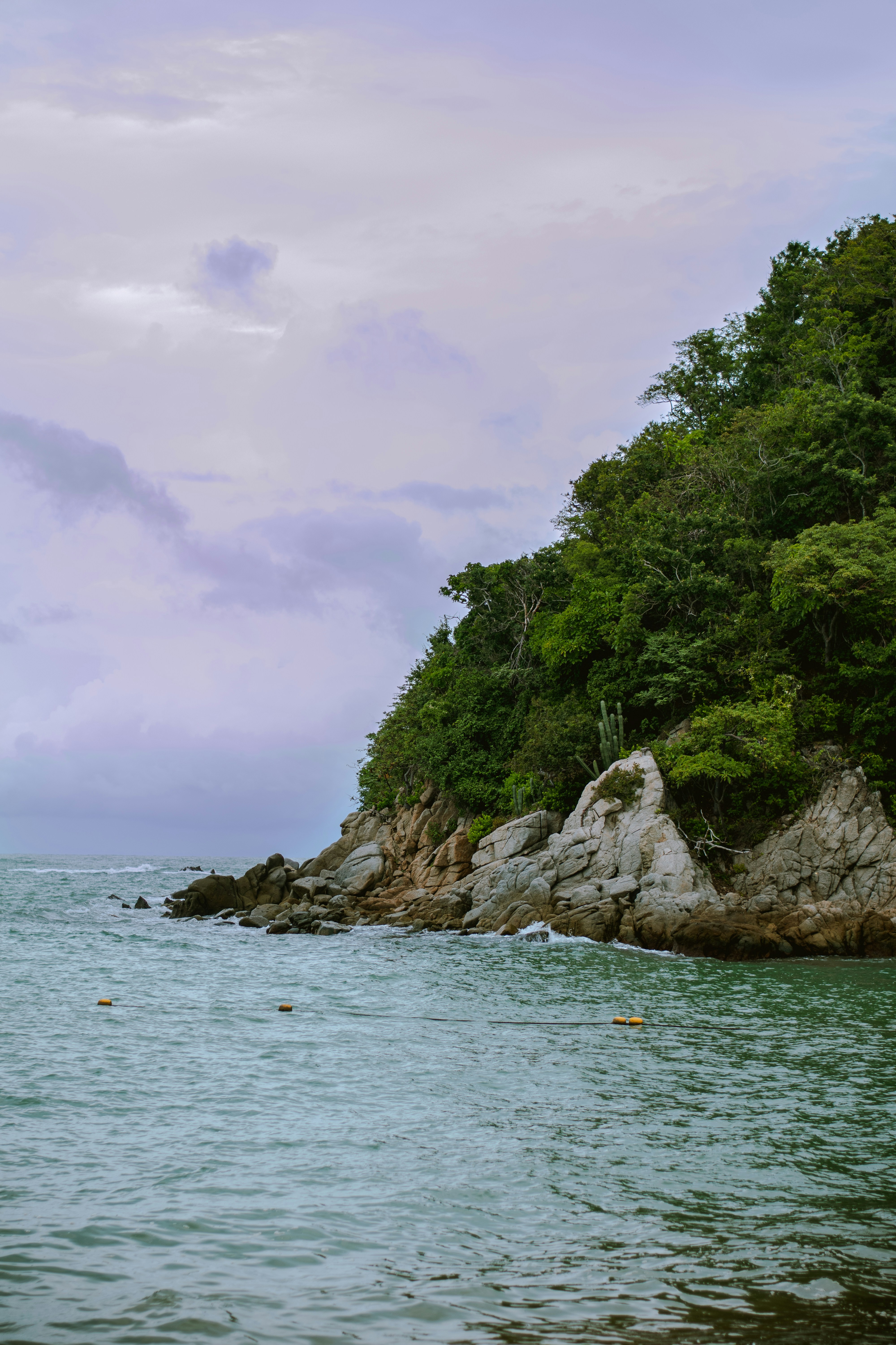 Rocky Green Promontory Meeting the Calm Sea