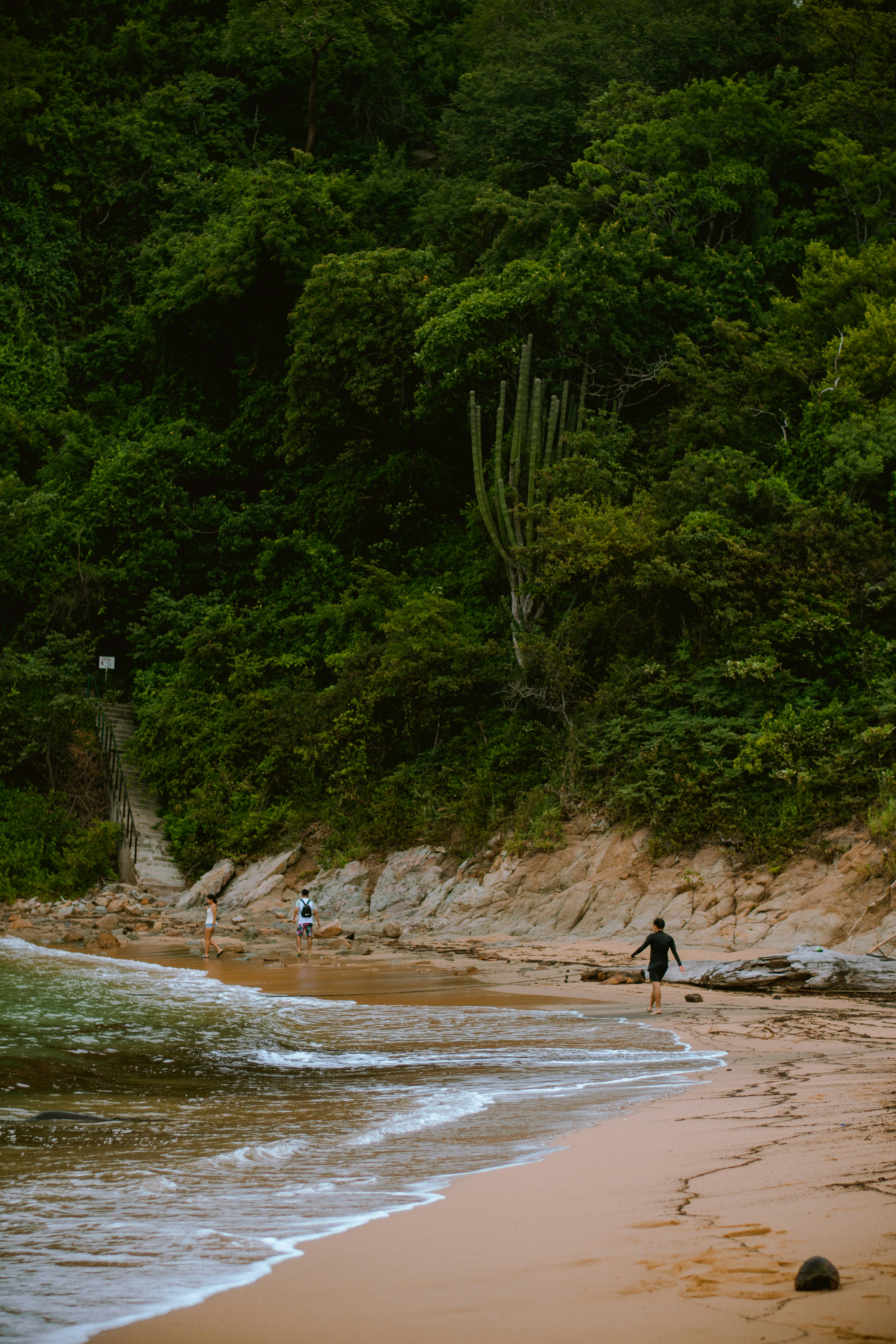 Footprints in the Quiet Edge: People at the Shore Under Dense Jungle