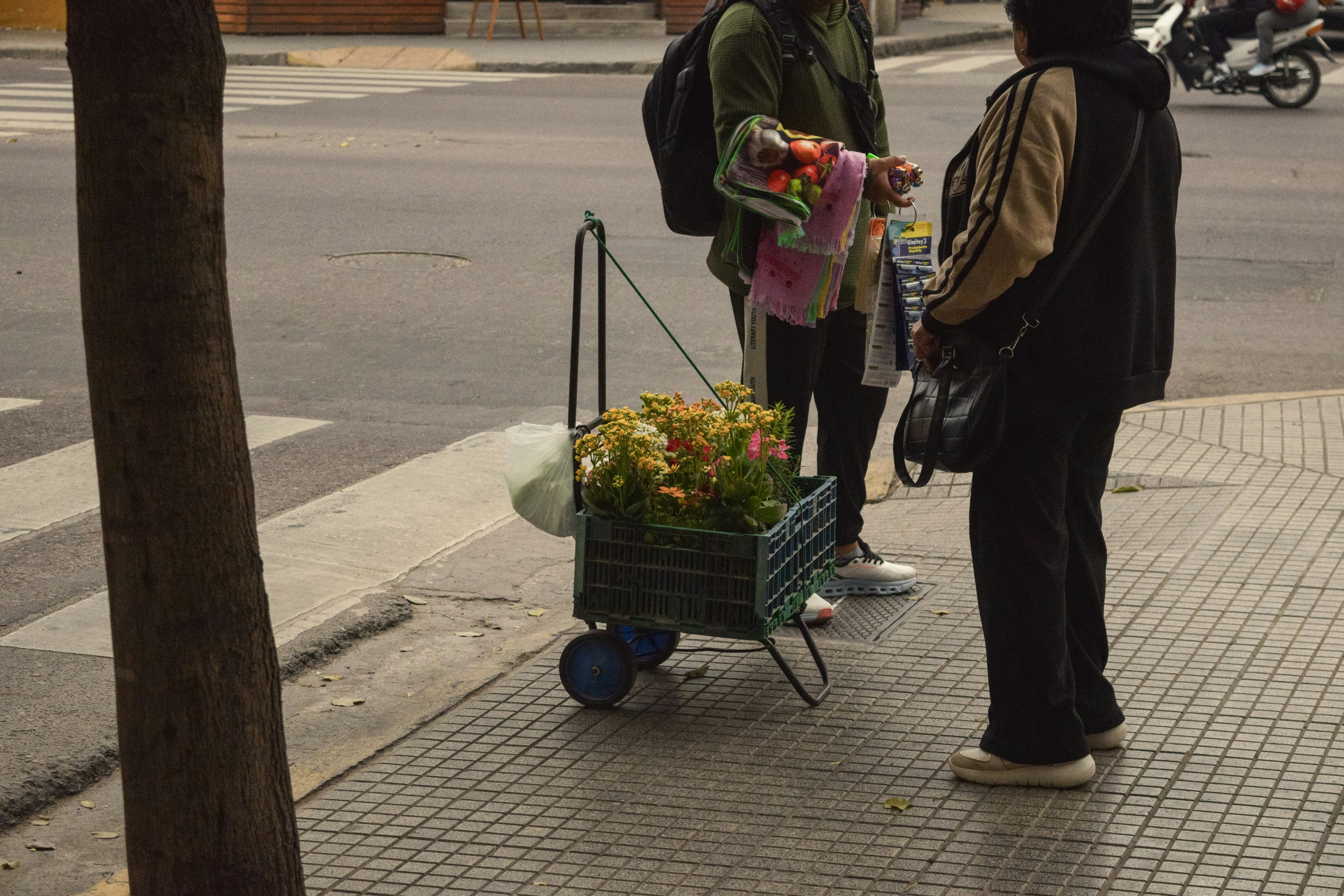 Street Vendor Standpeers: A Sidewalk Market Moment