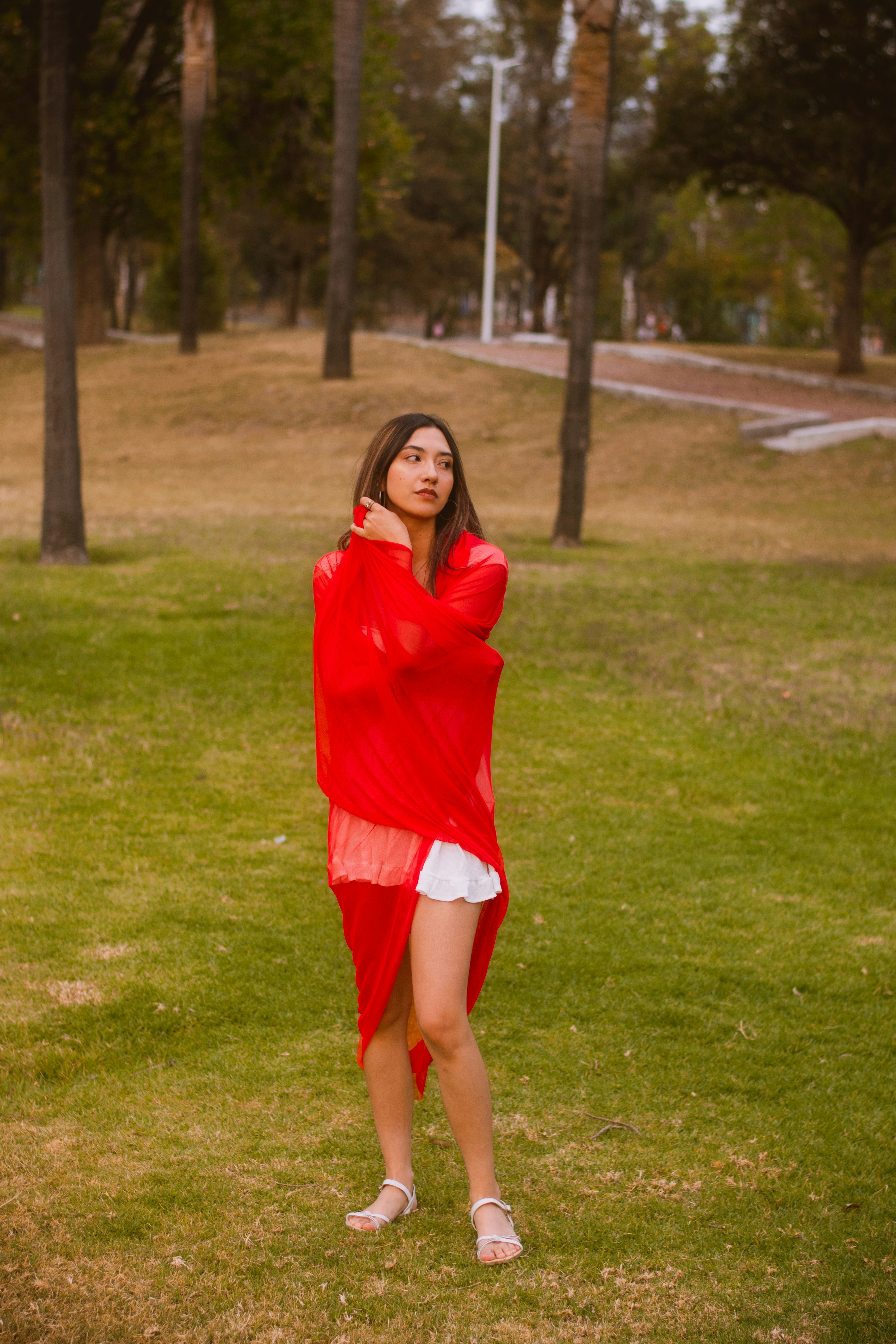 Crimson Draped Silhouette in a Sunlit Park