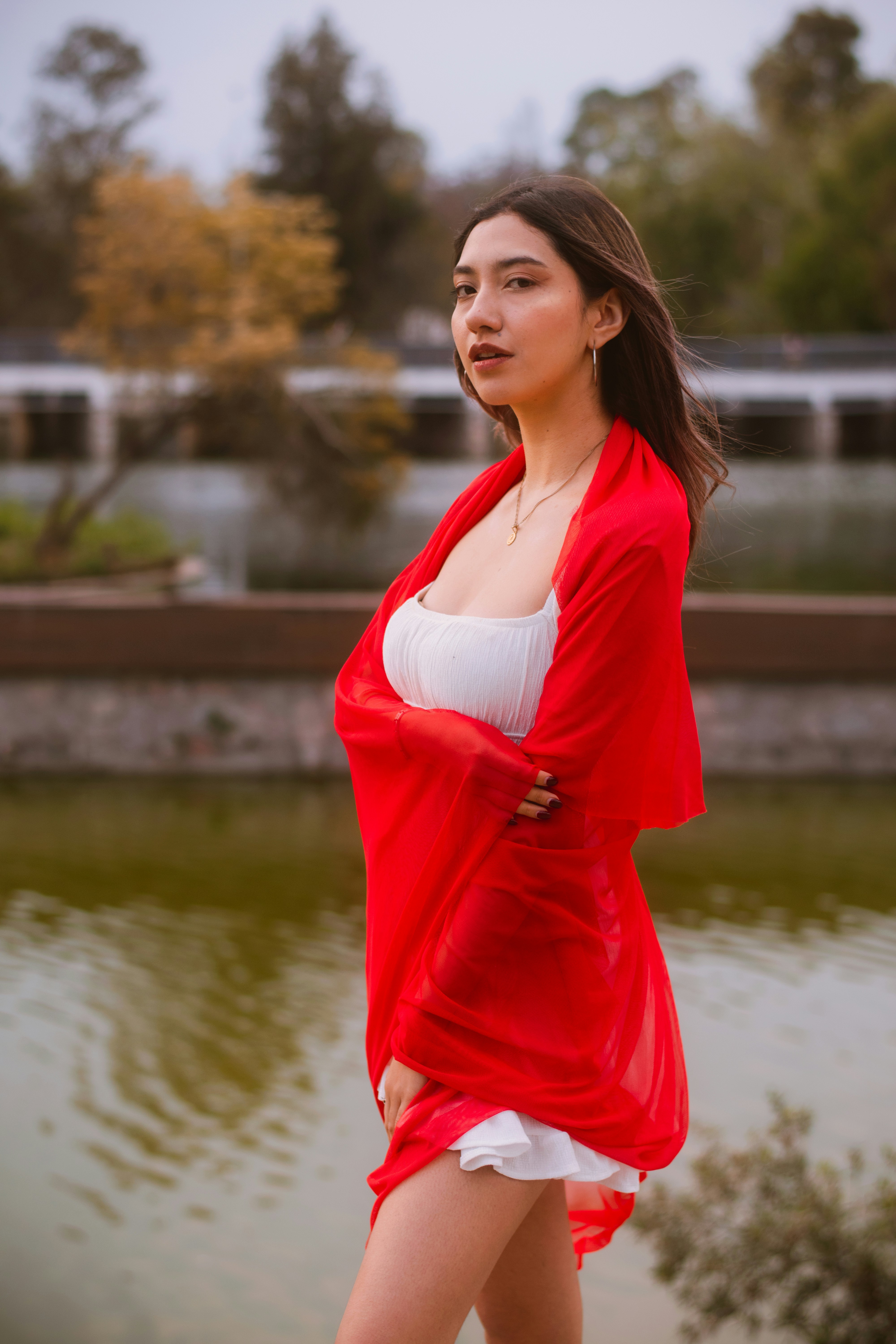 Red Sheen in Soft Autumn Light