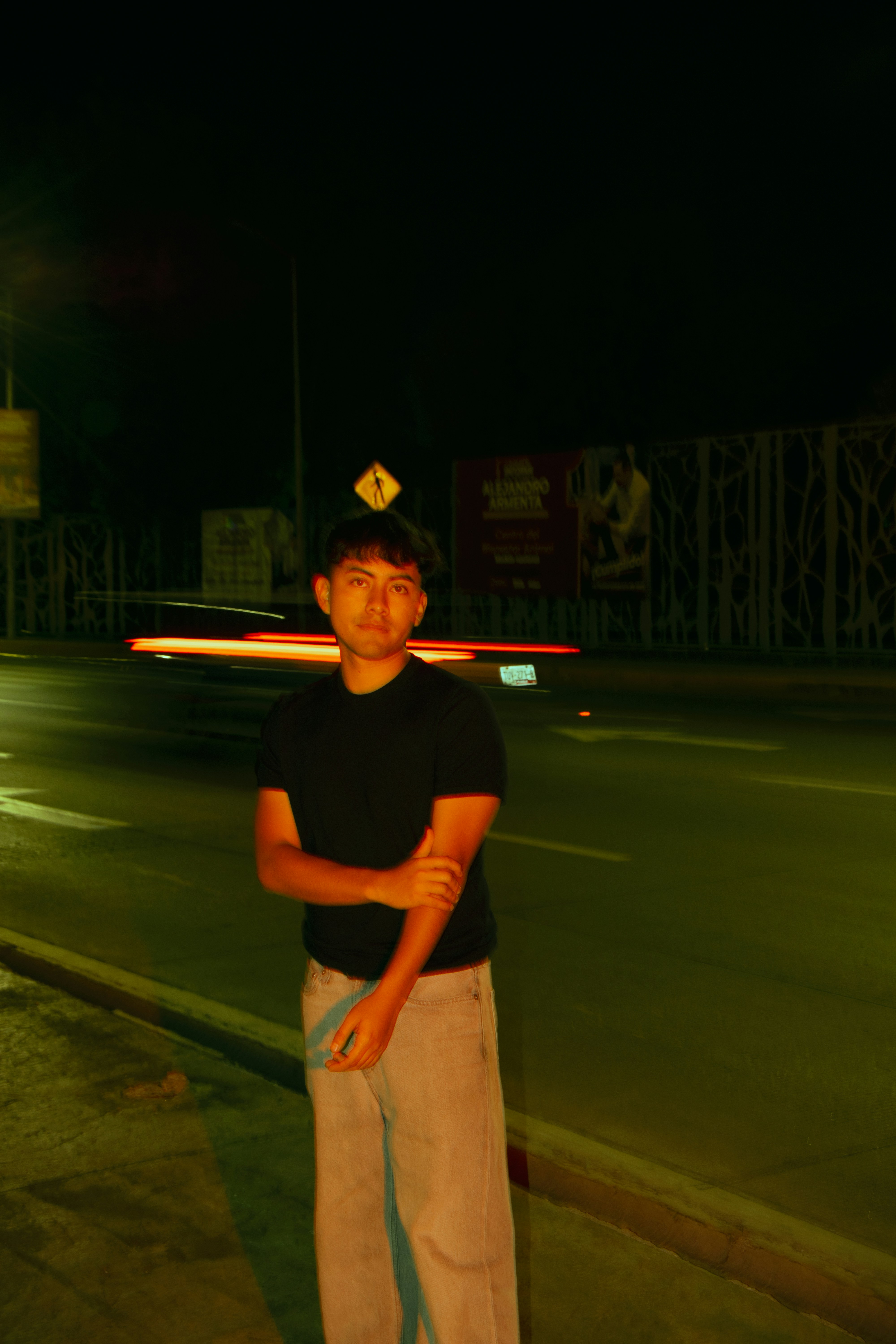 Night on the Quiet Street: A Portrait in Motion