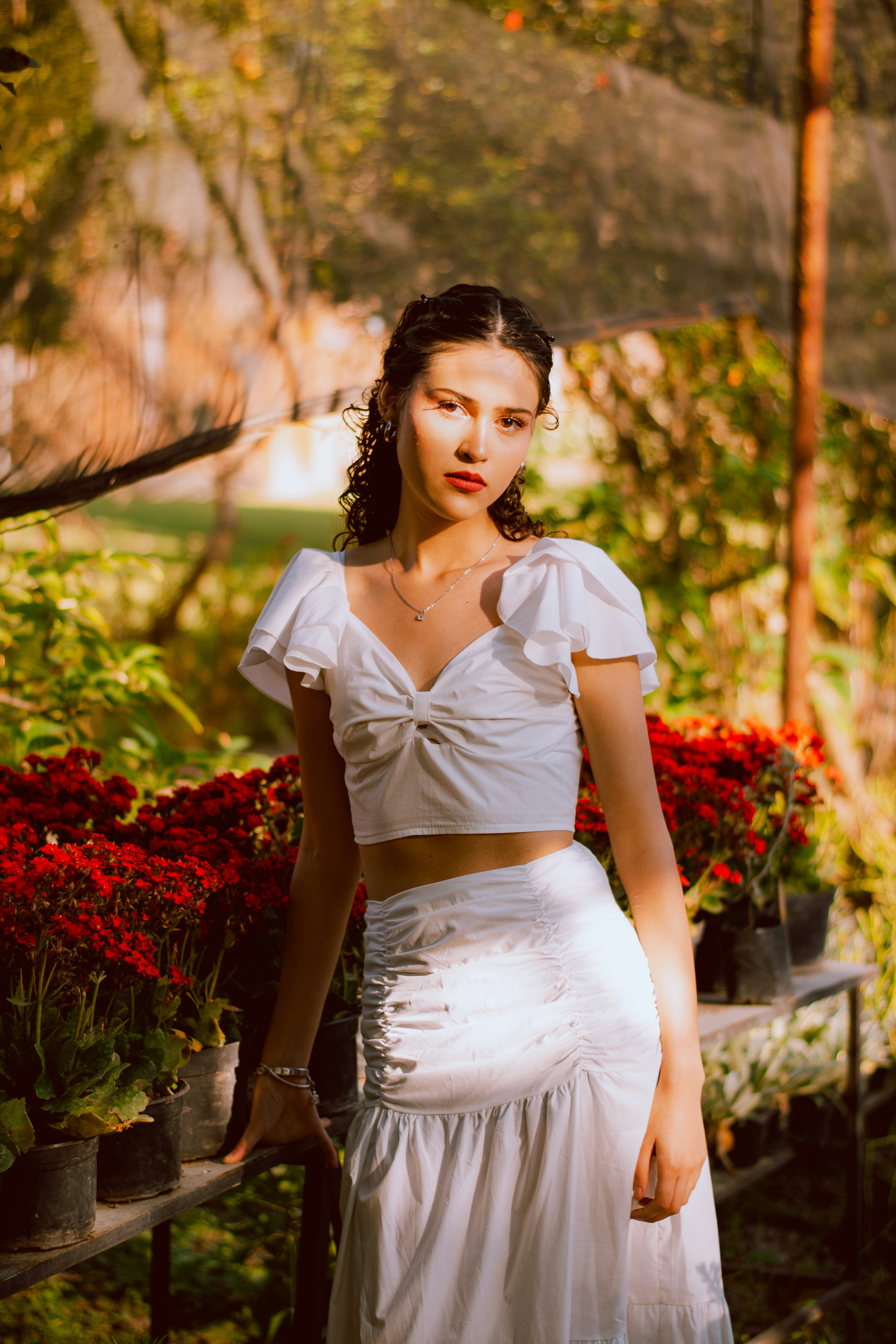 White-Top Elegance in a Garden Frame