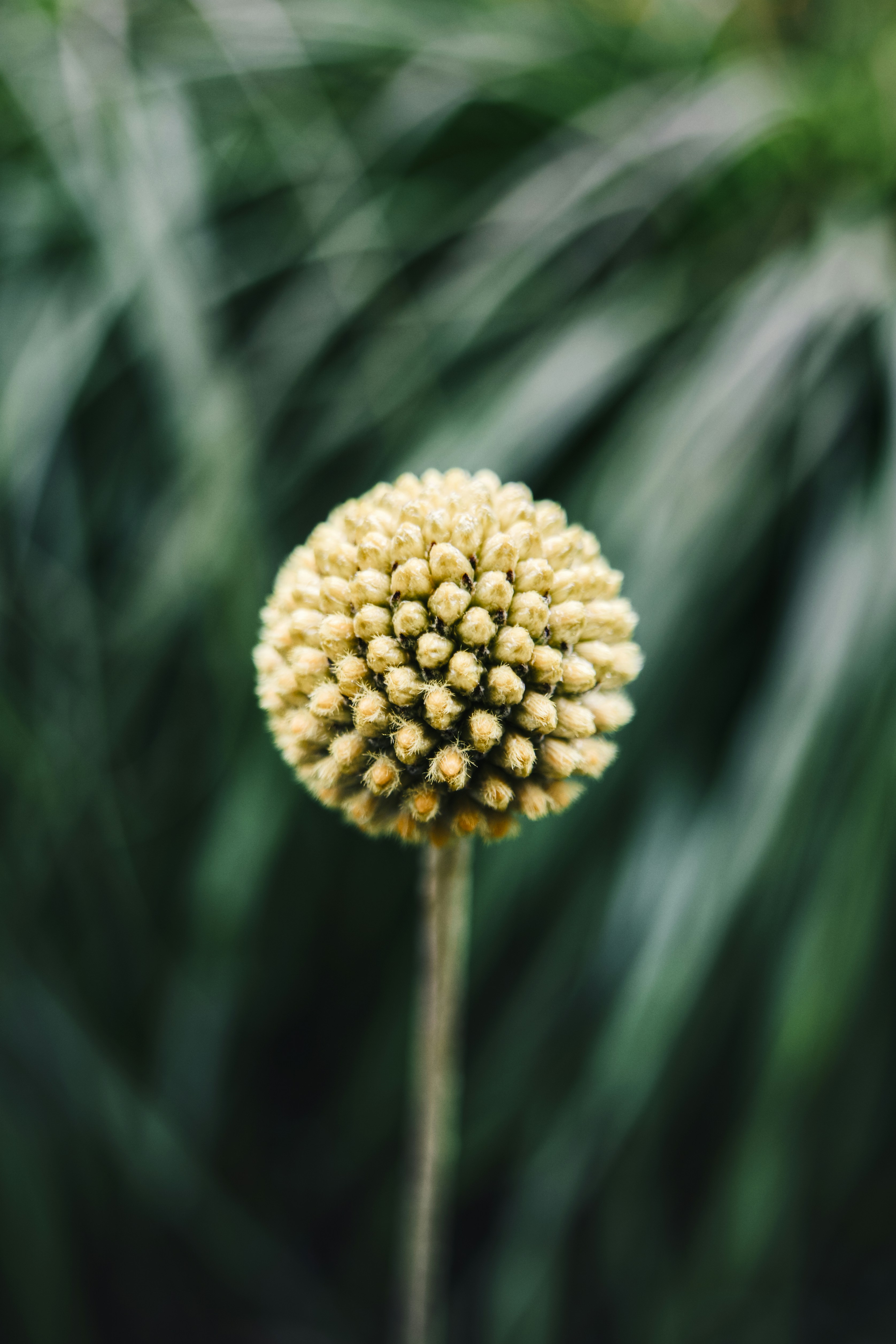 Golden Sphere in a Sea of Green Spires