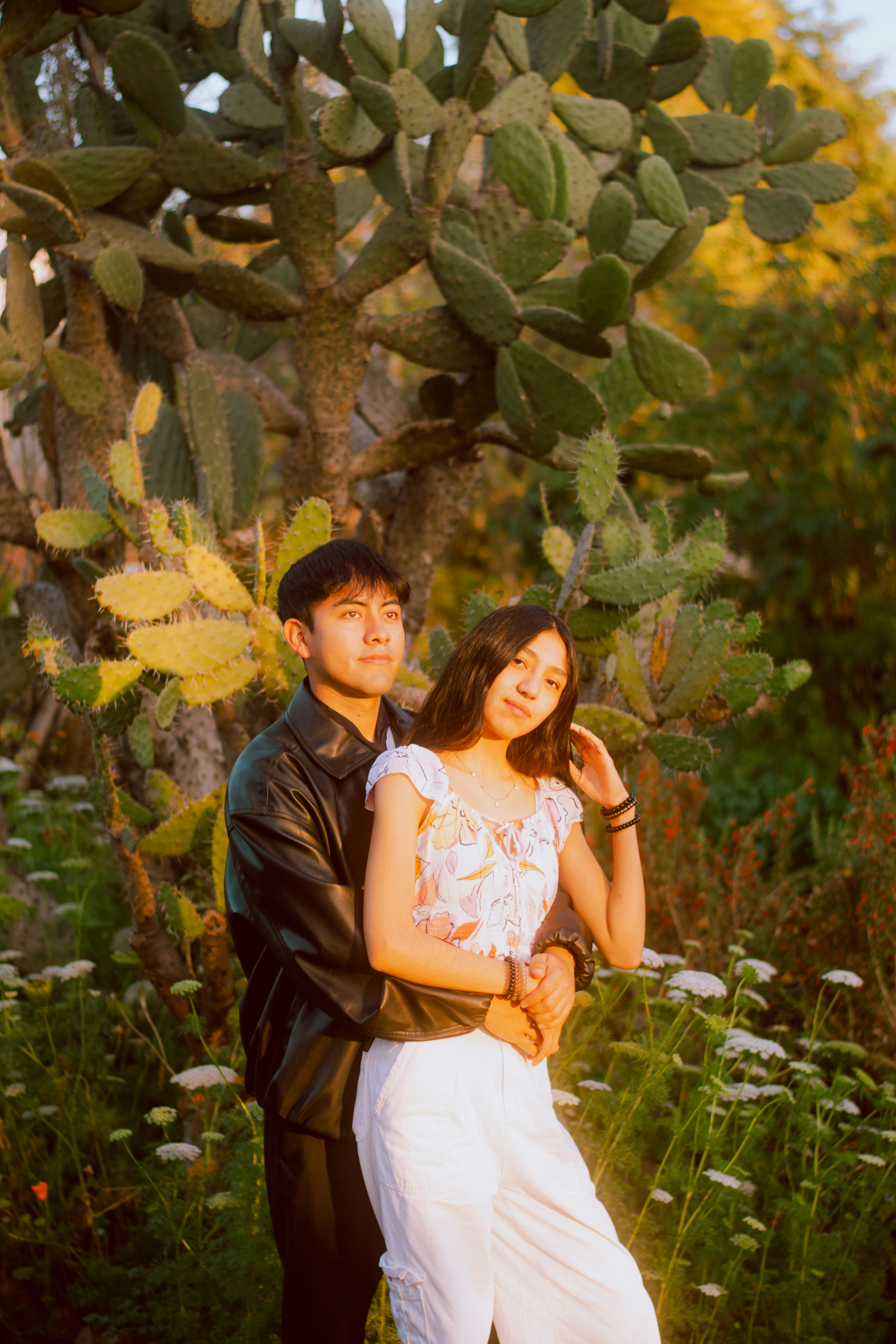 Sunlit Embrace Beneath Prickly Guardians