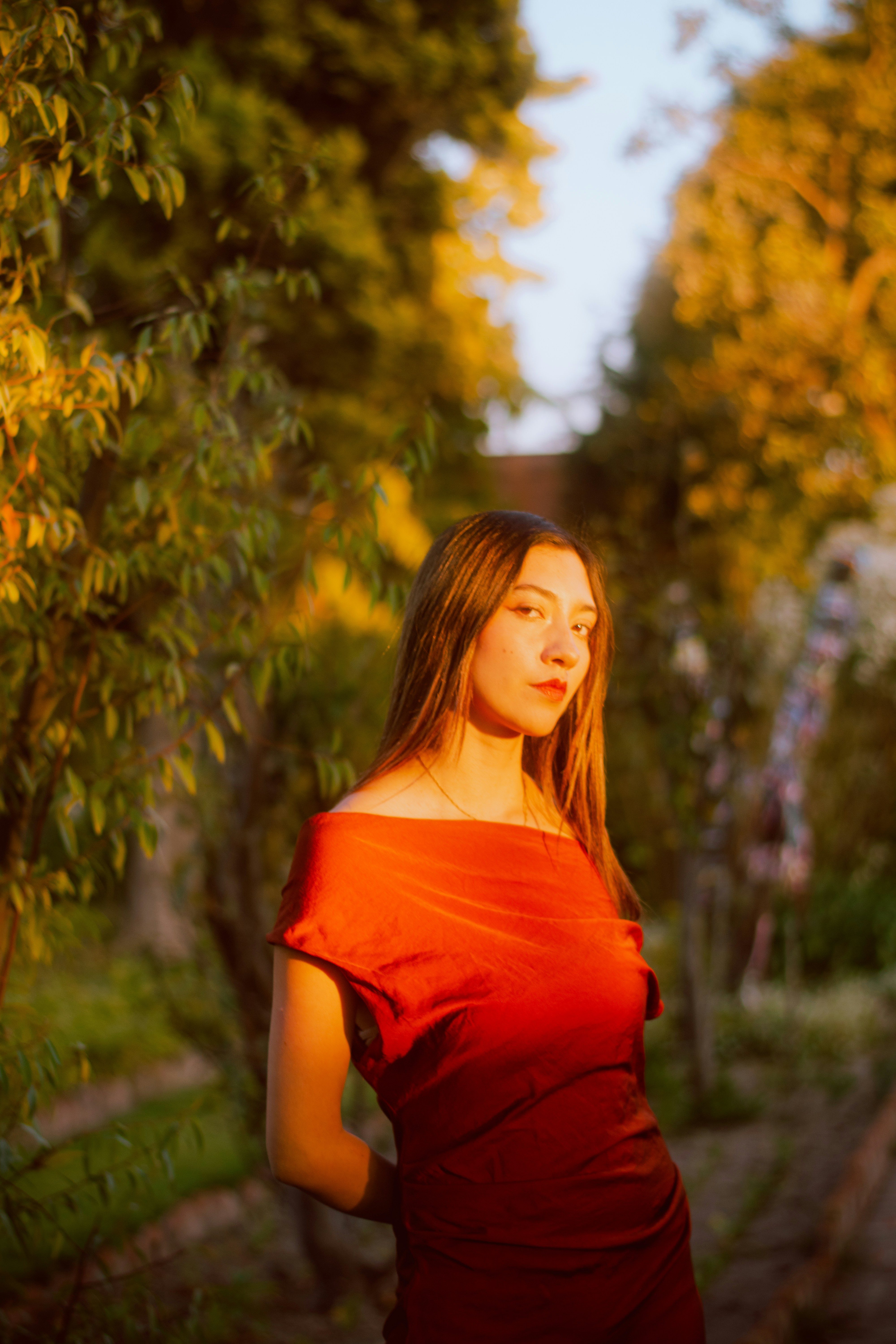 Sunlit Red Dress in an Evening Orchard