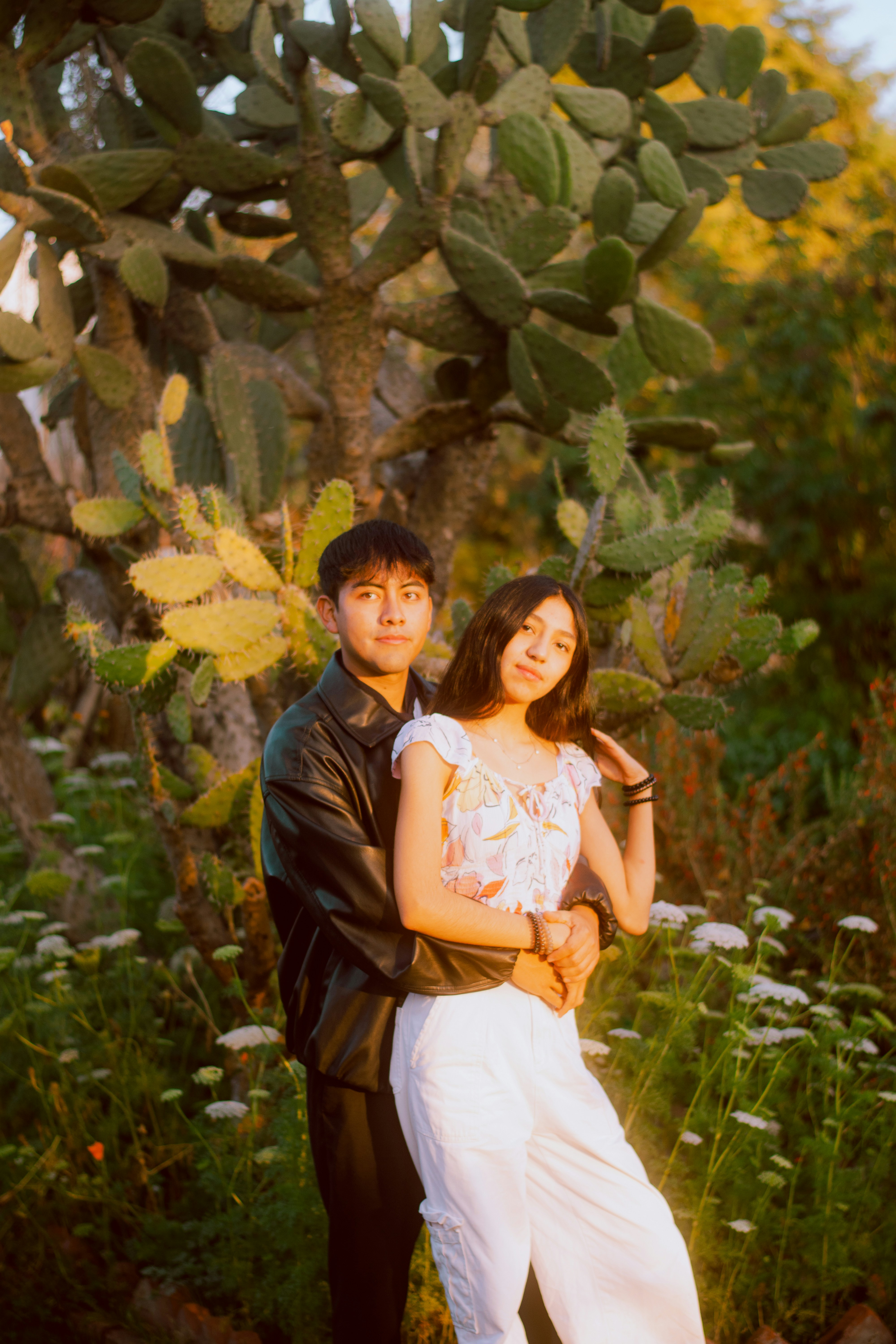 Embrace Among Cactus Shadows