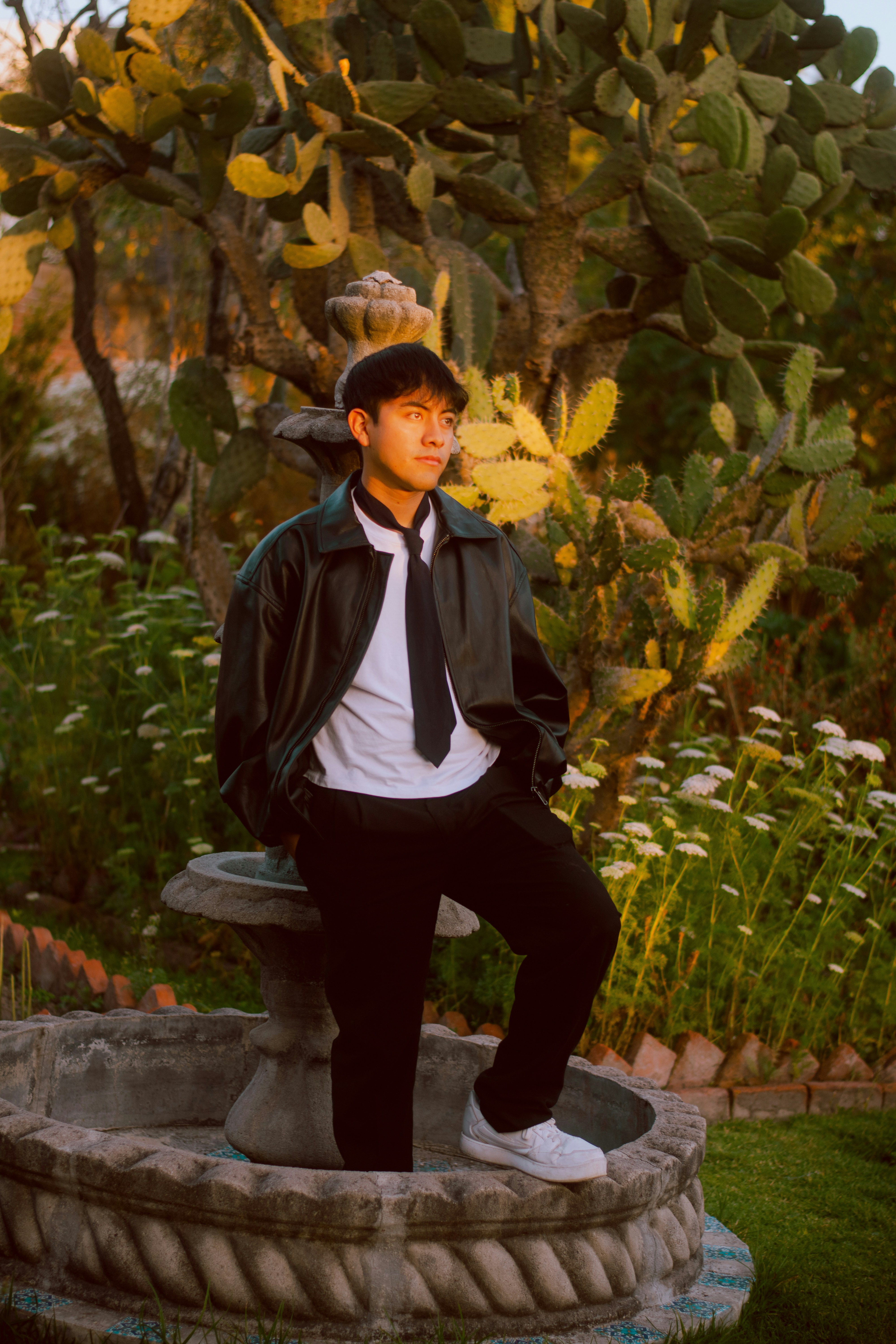 Casual Confidence in the Garden of Succulents
