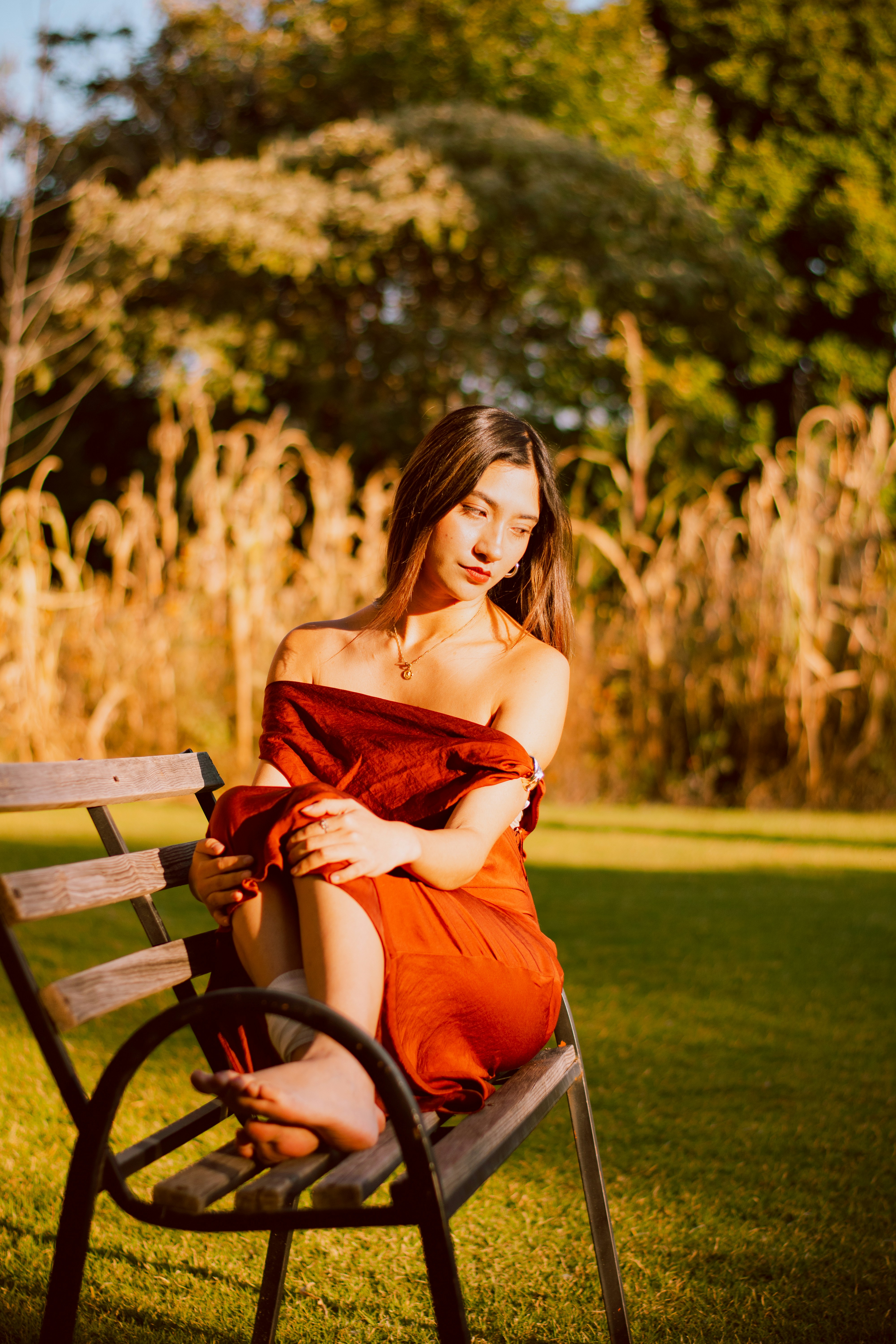 Golden Hour Serenade on a Park Bench