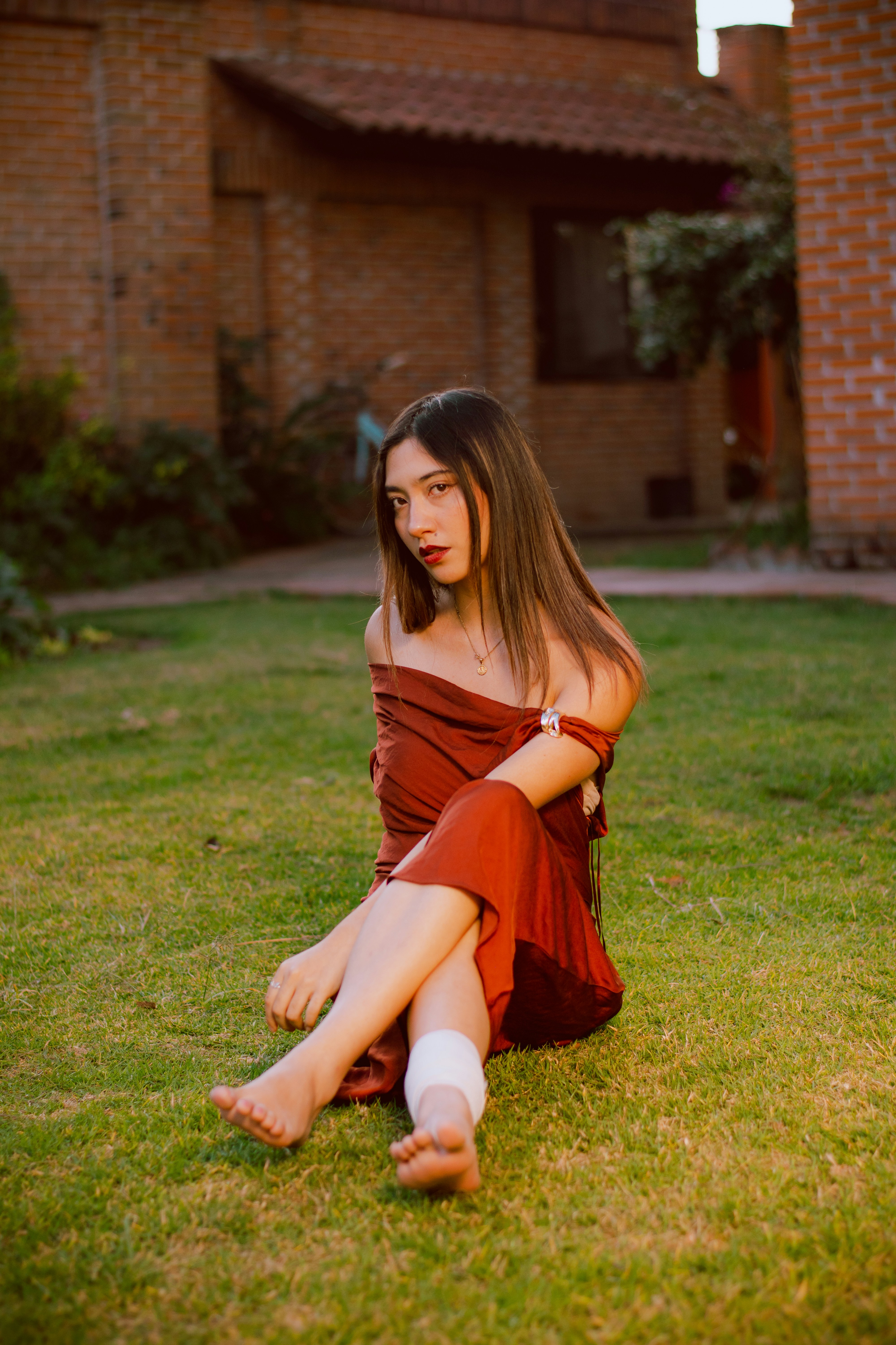 Crimson in the Grass: A Quiet Moment on a Sunlit Yard
