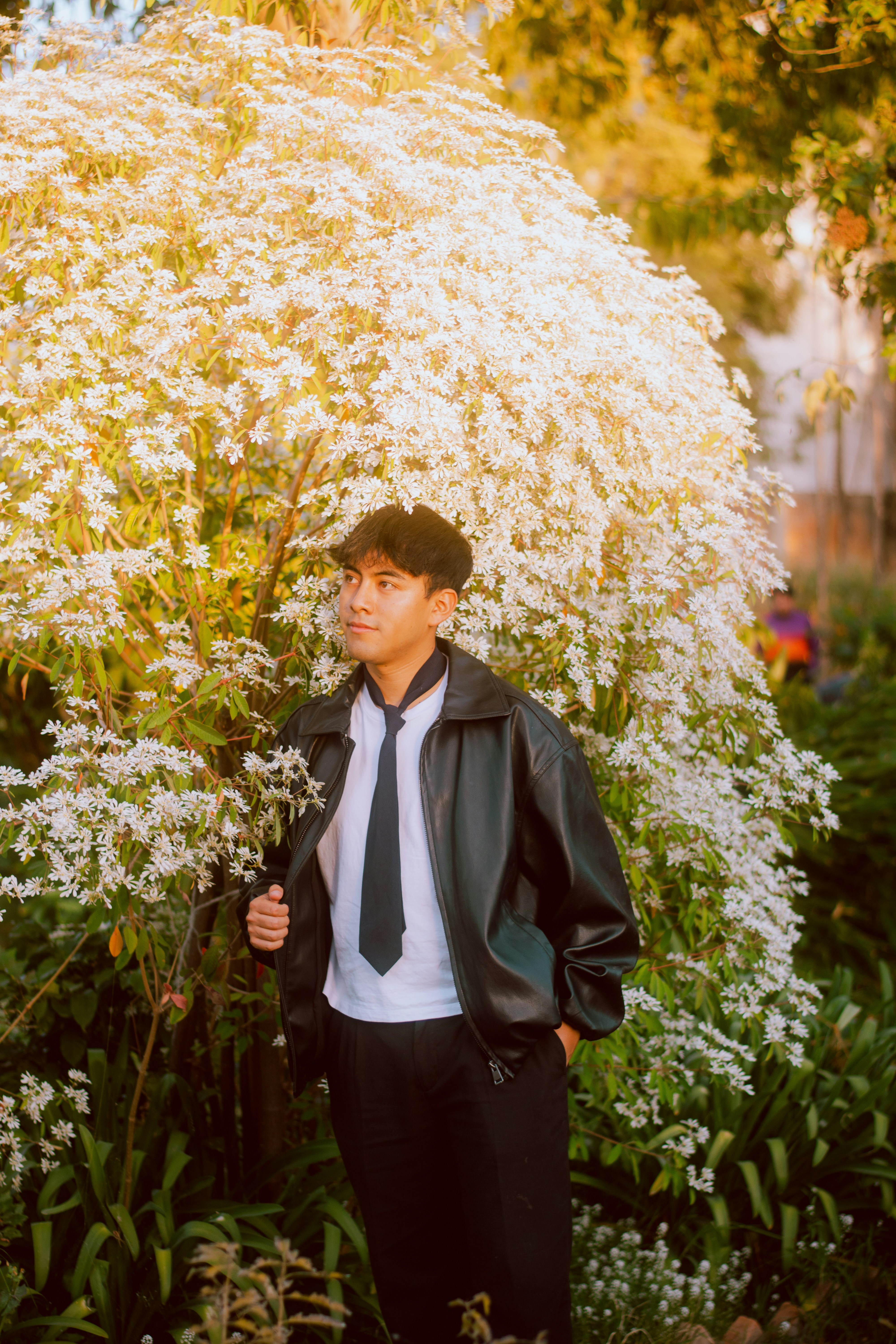 Gentleman in a Field of White Blossoms