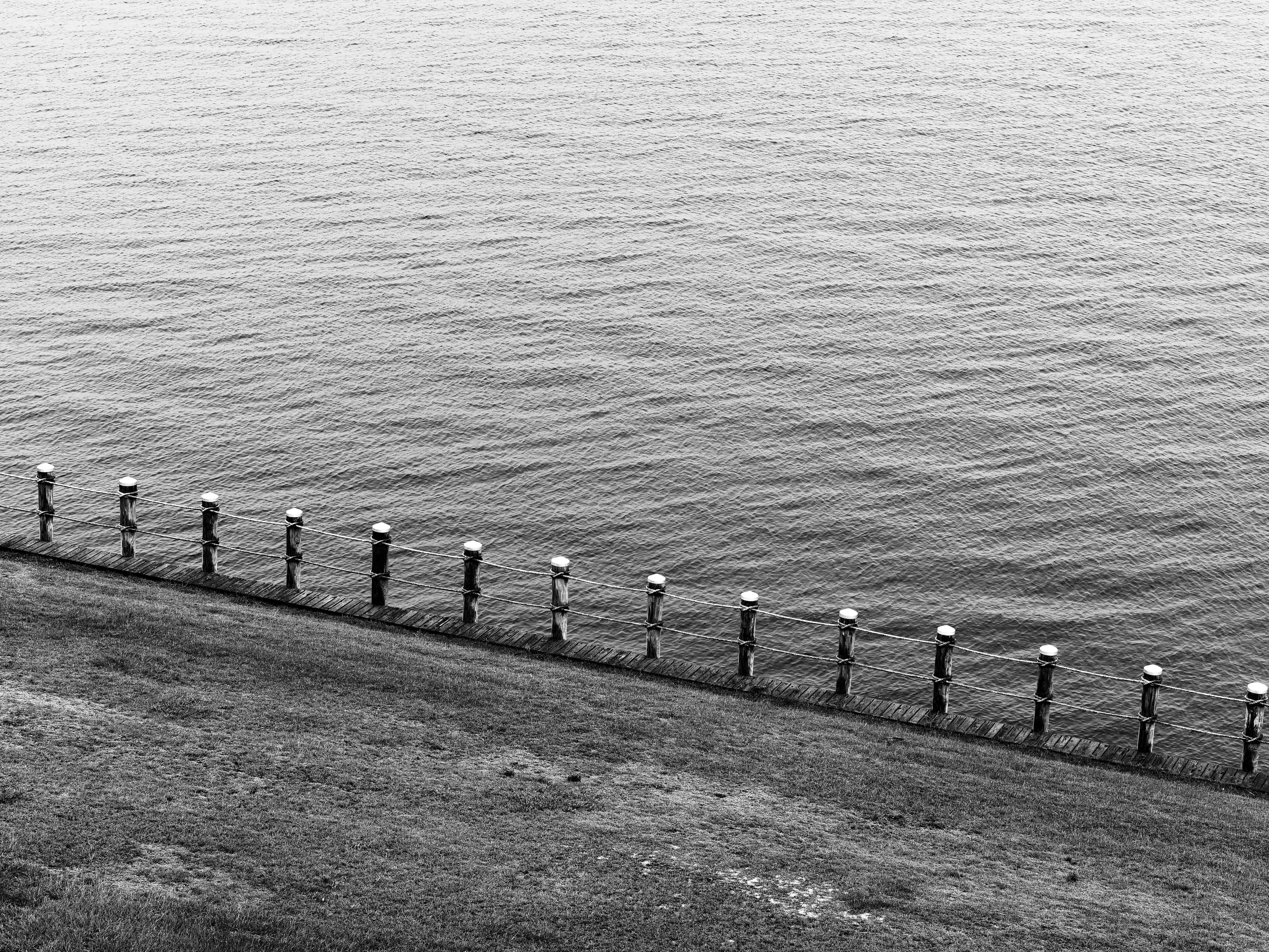 Low Tide Line: A Row of Posts Halting the Quiet Tide