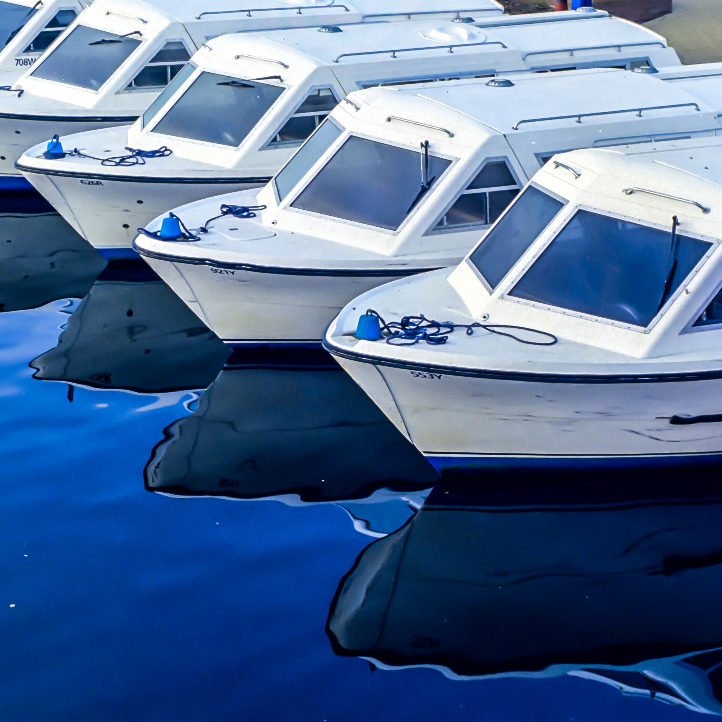 Line of White Boats at Calm Marina