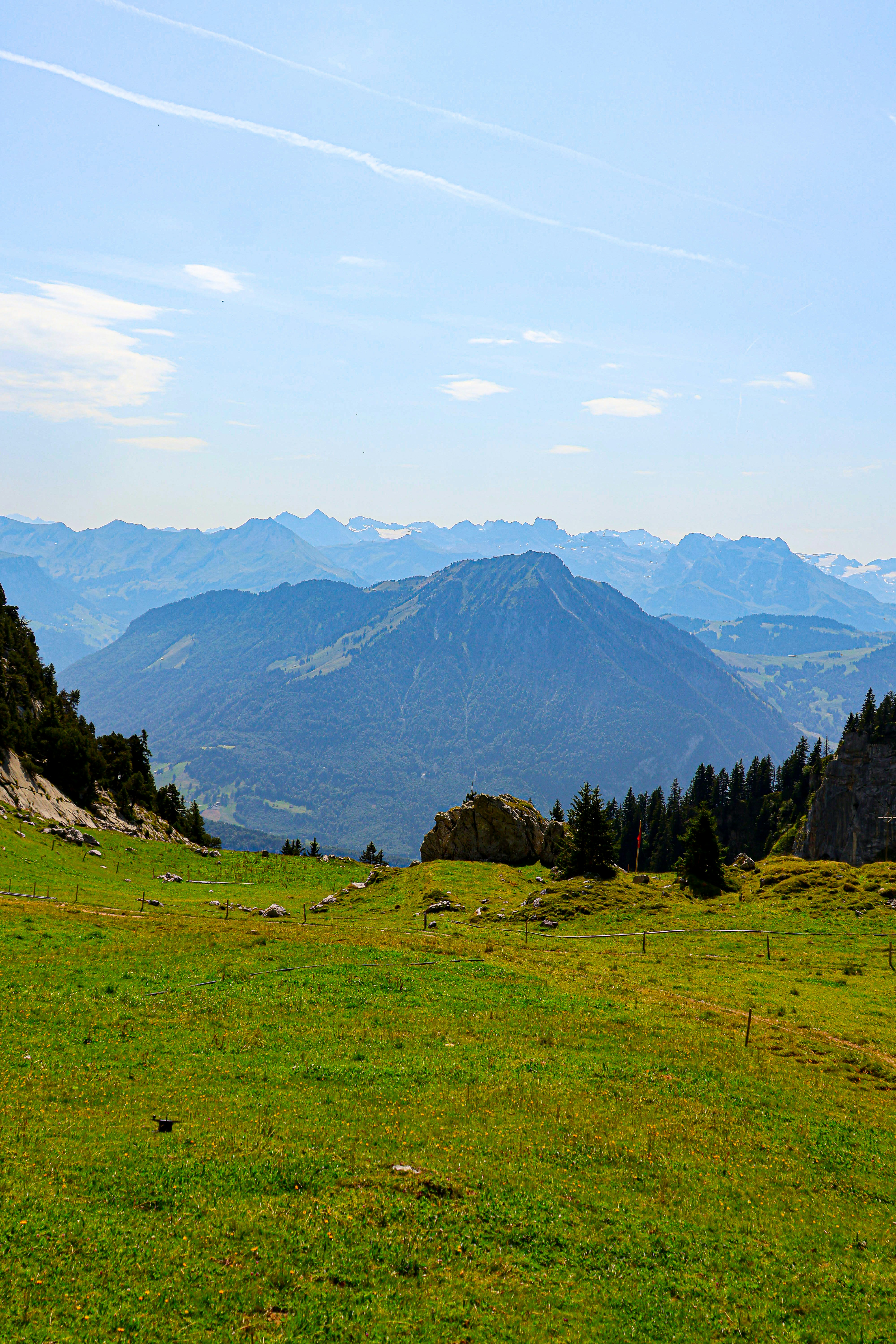  Alpine Ridge: A Meadow Under the Soaring Peaks