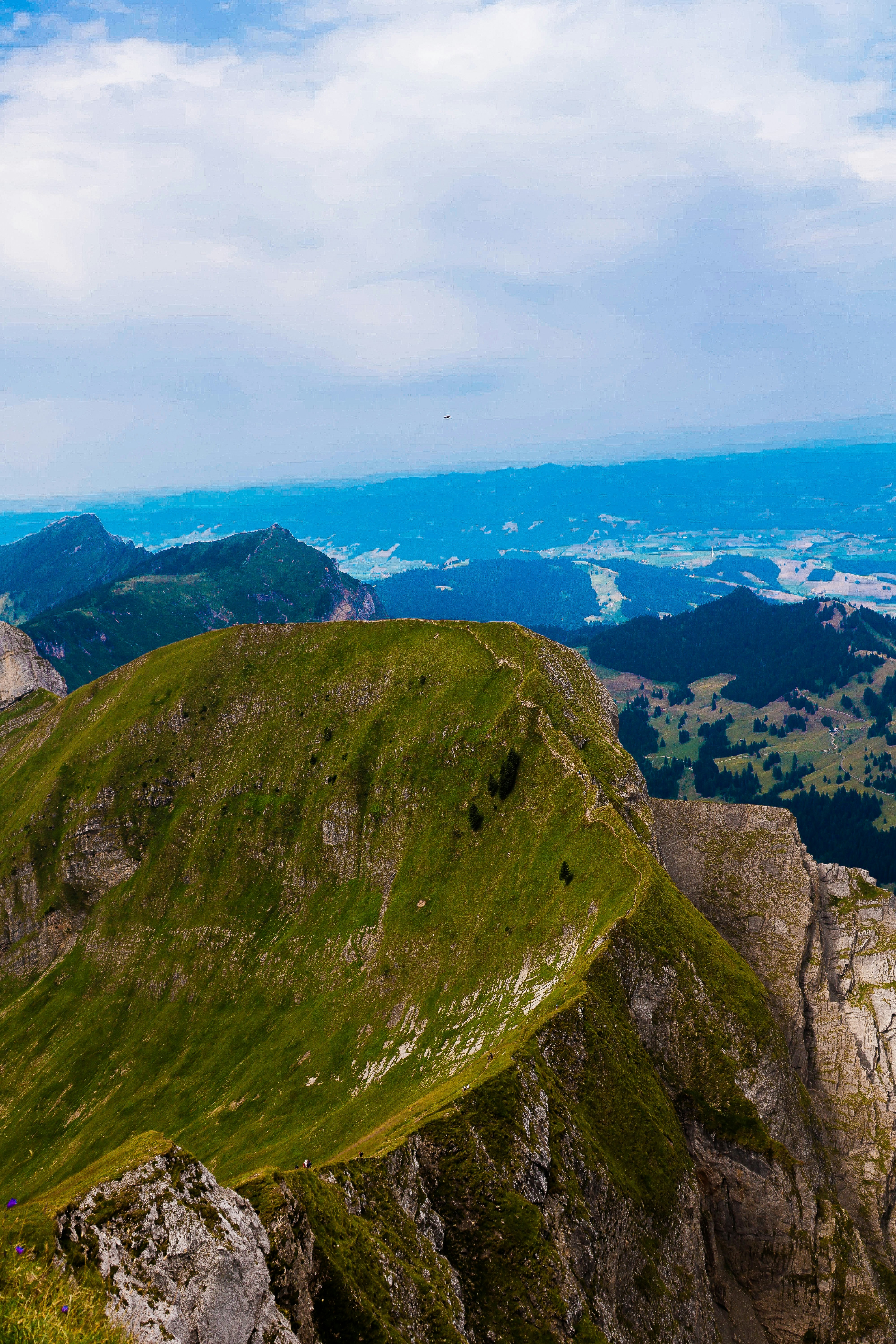 Green Summit: Craggy Ridge Surging Into a Distant Valley
