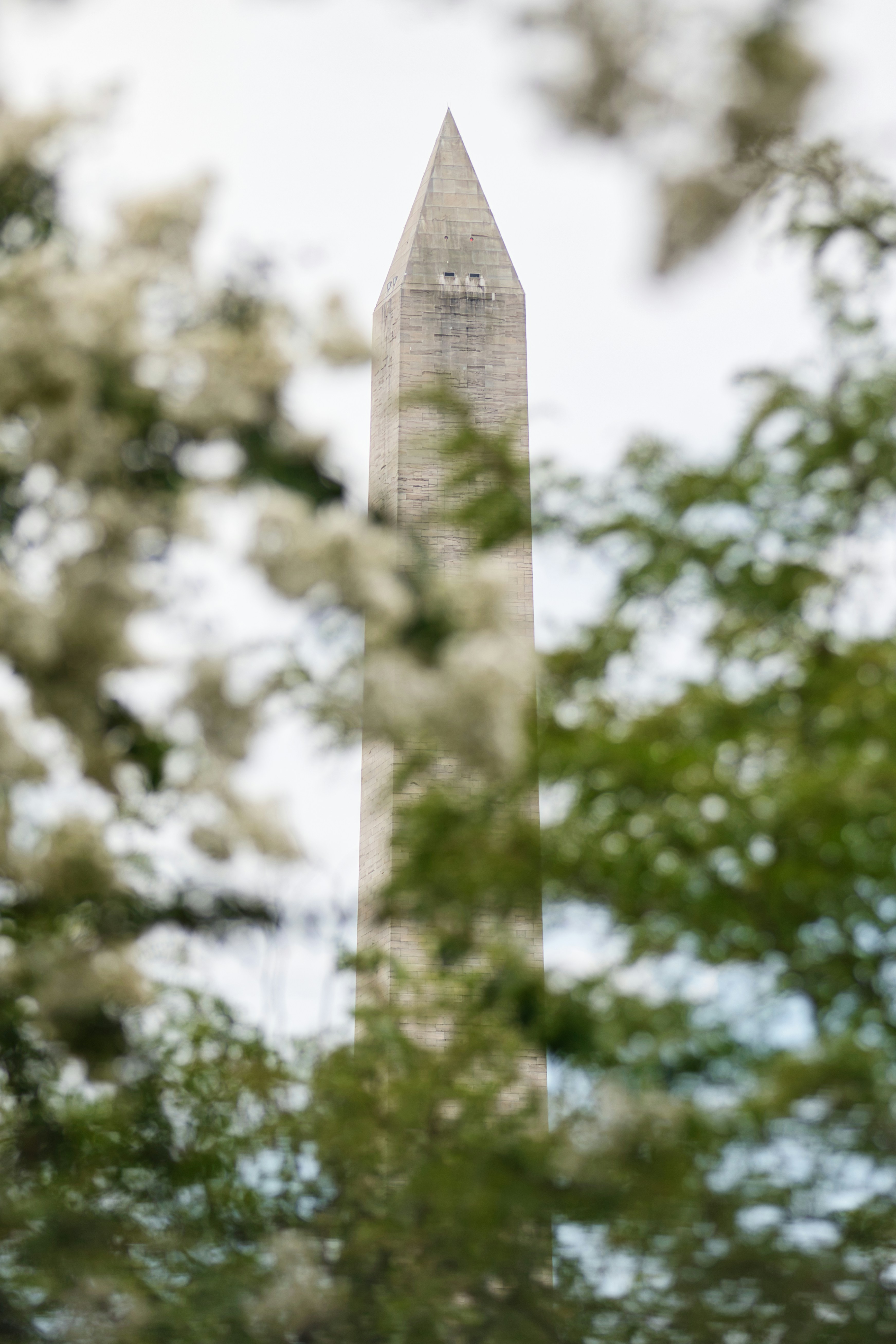 Obelisk through the Frame: a lantern of stone rising beyond spring foliage