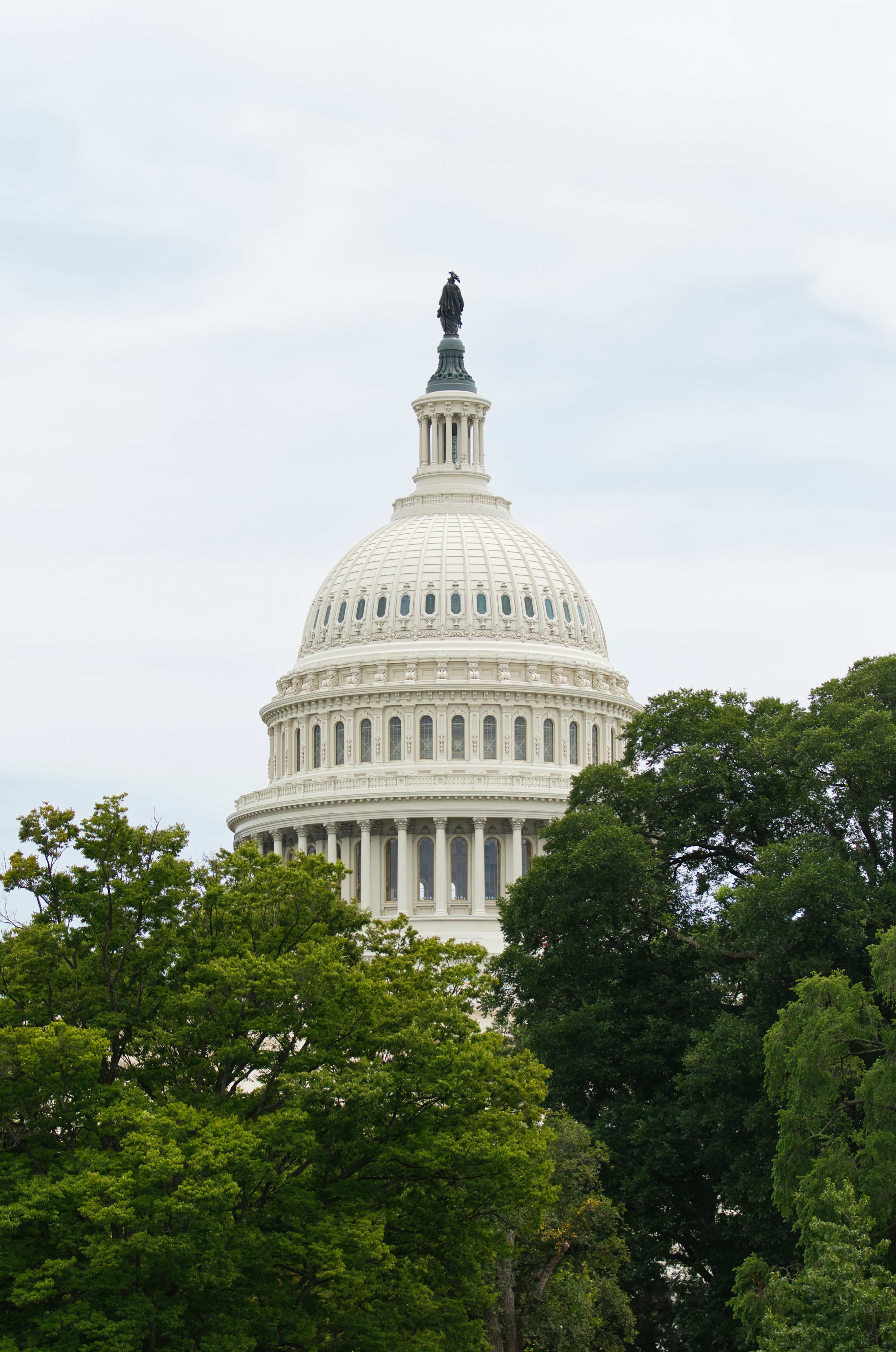 Capitol in the Dappled Light