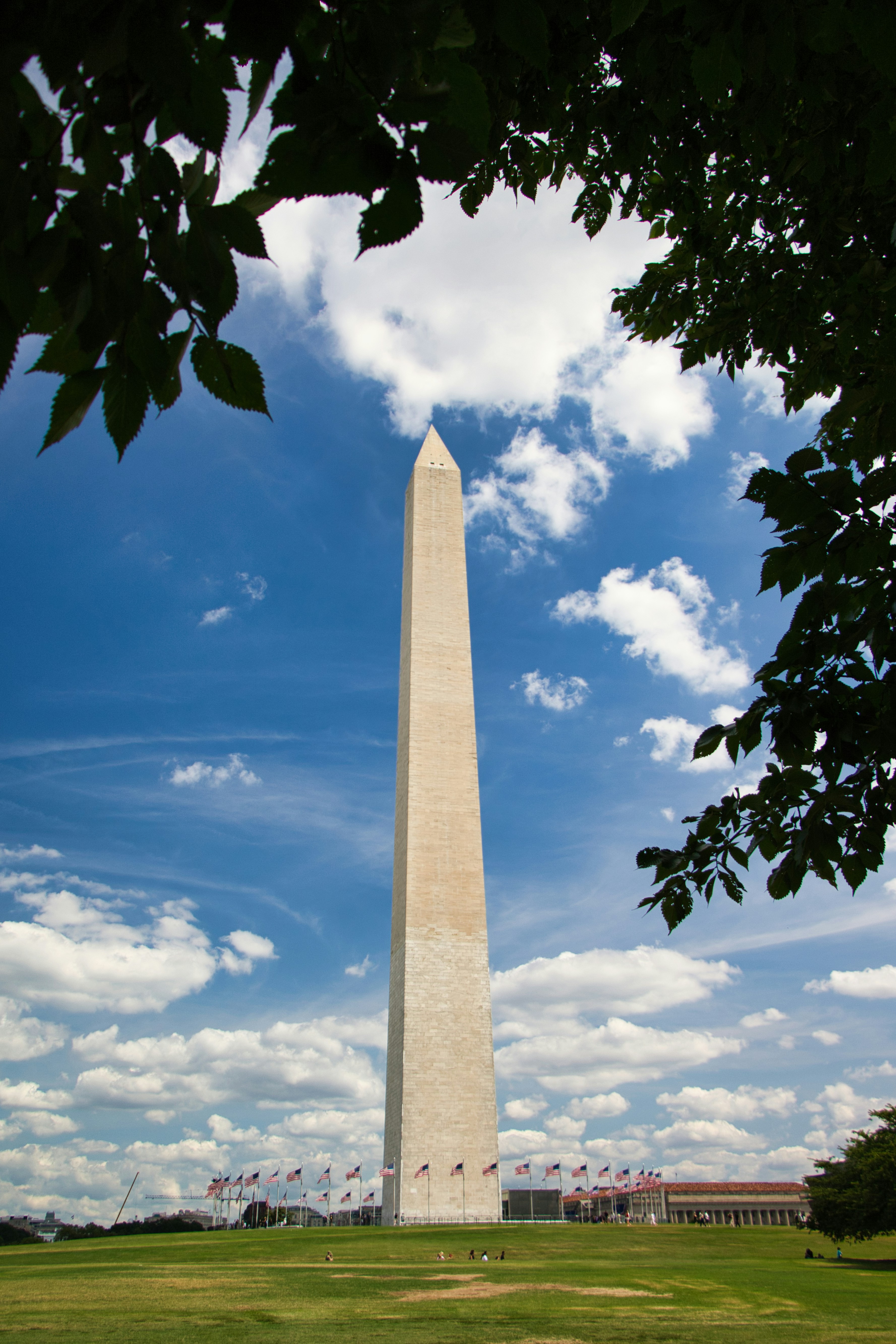 Obelisk in Open Sky: Sunrise at the National Mall