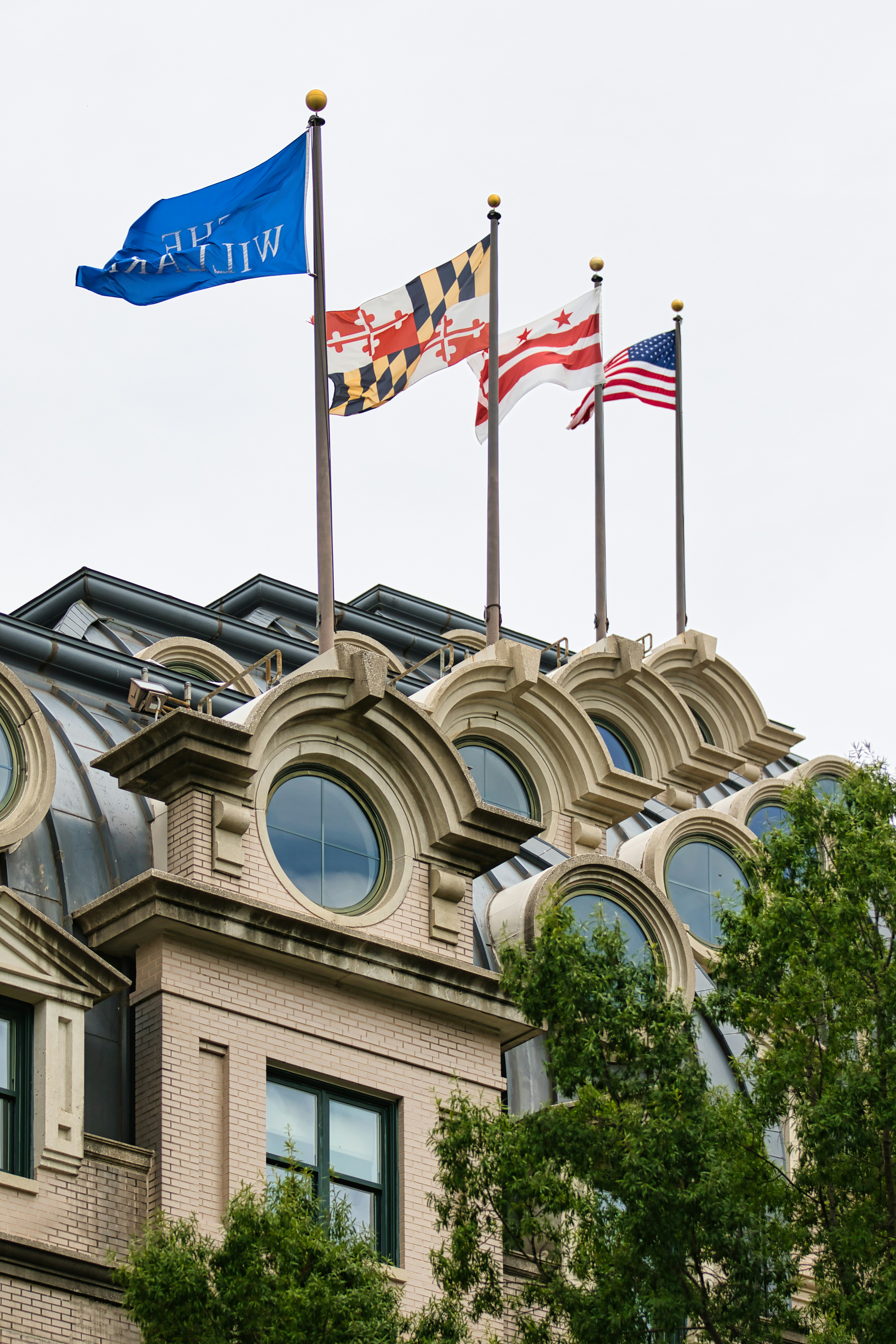 Flag Quartet Above Classical Facades