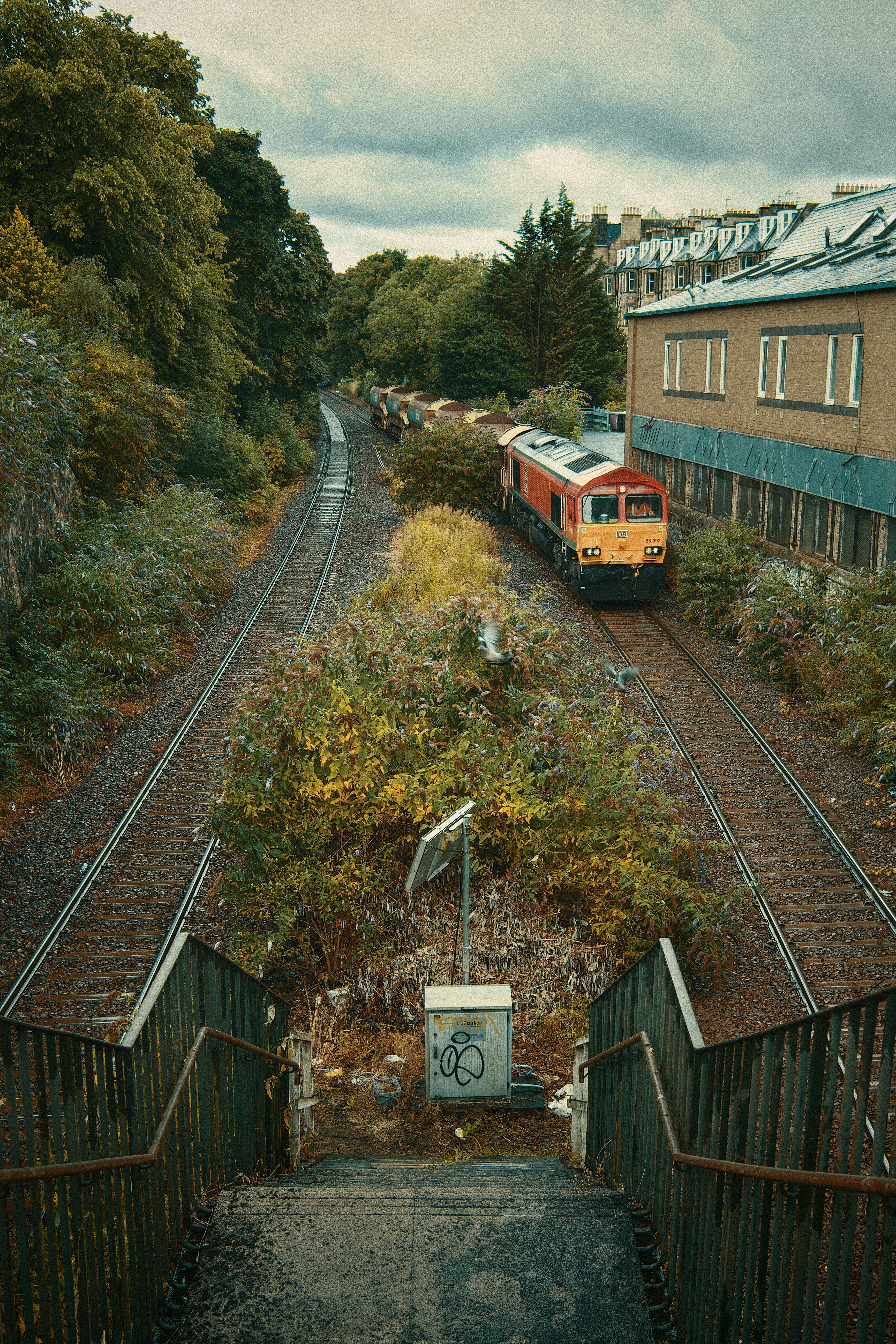 Autumn Rails: A Red Train Winds Through a Verdant Stairway