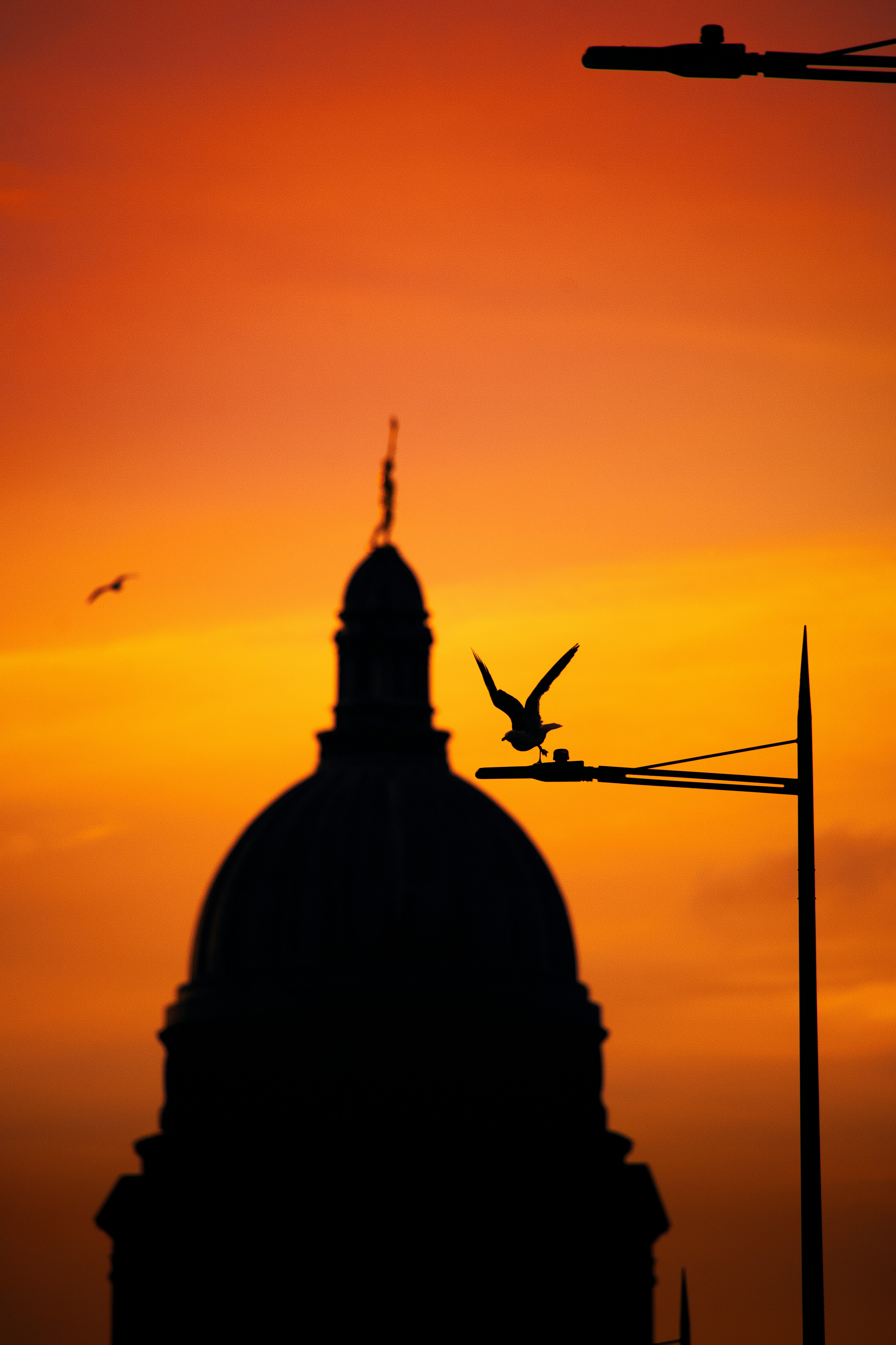 Silhouette at Sunset: Dome, Bird, and Crane Overhang