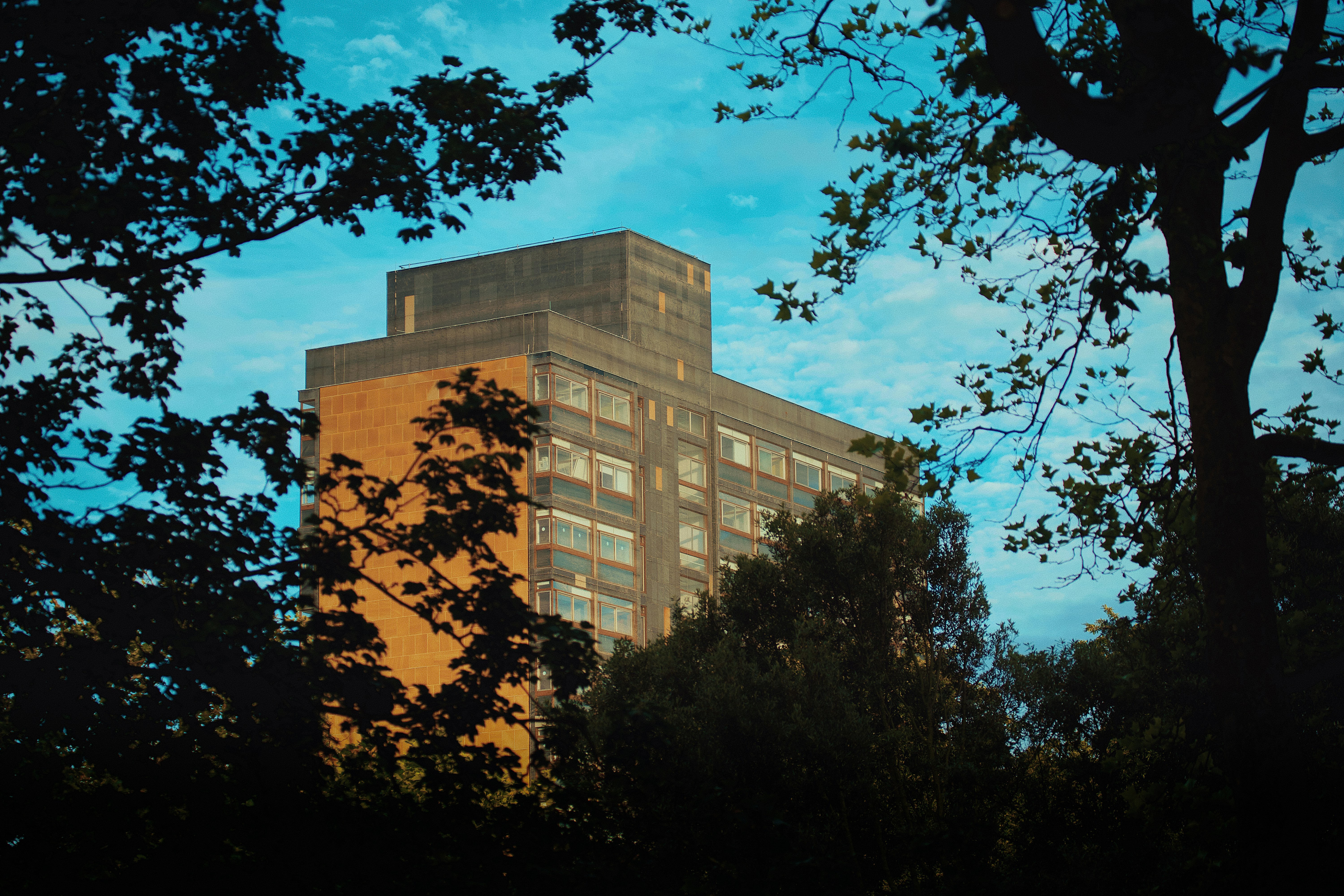 Sunlit Brick Tower Rising Above the Canopy at Dusk