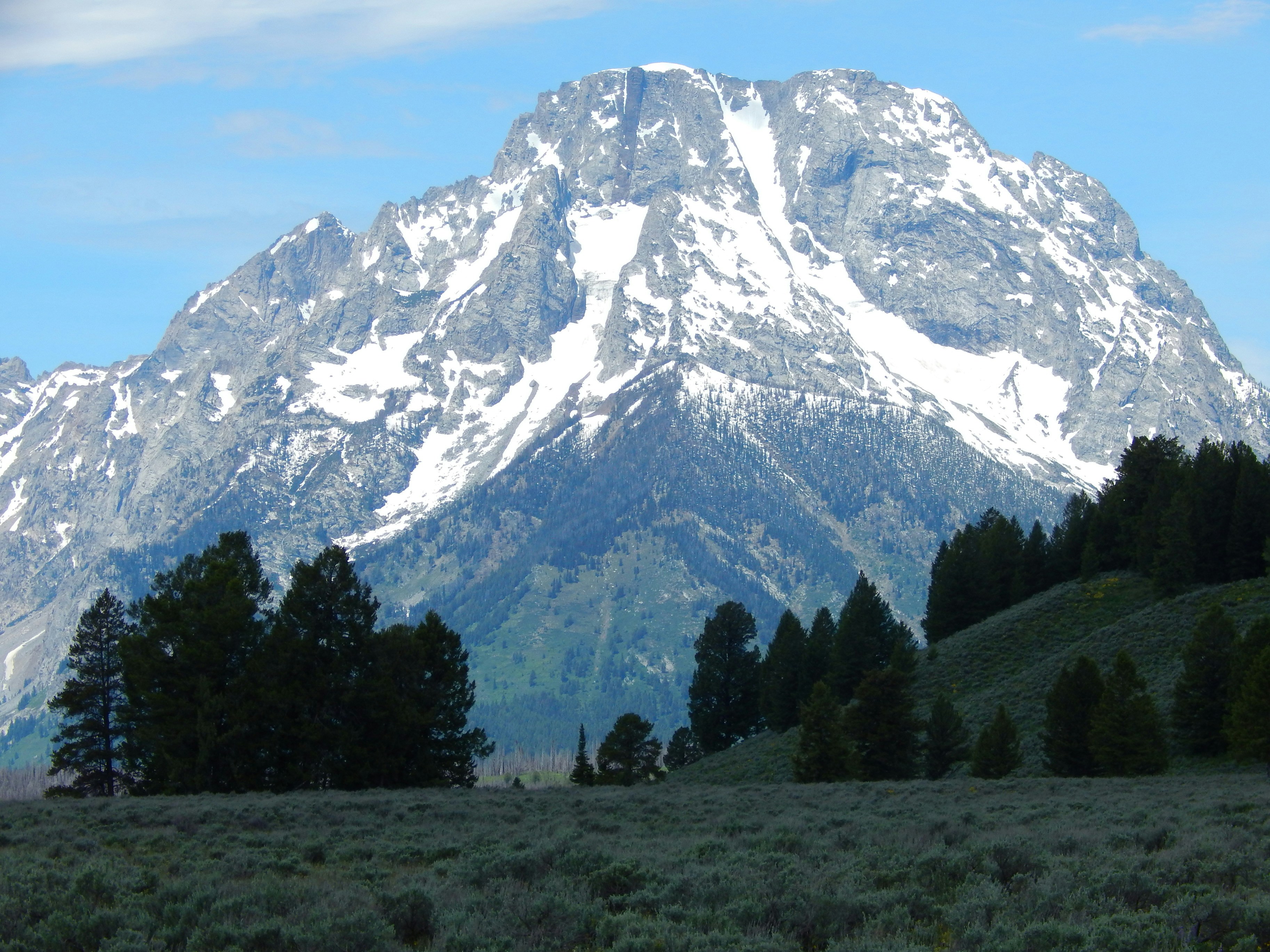 Snow-capped Peak Rising Beyond a Pine-Filled Foothill