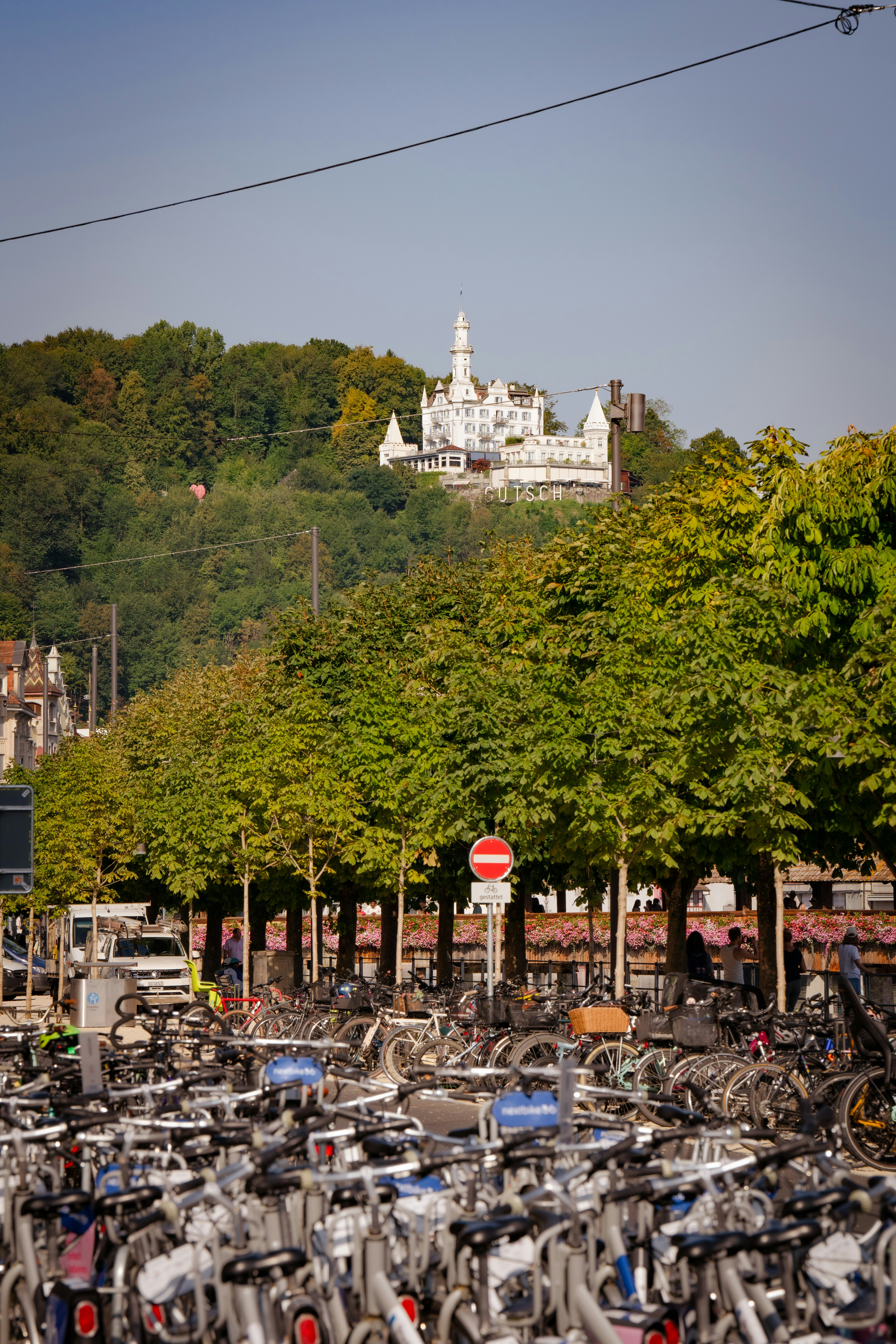 Castle atop the Trees: A Quiet City Scene with Bicycles