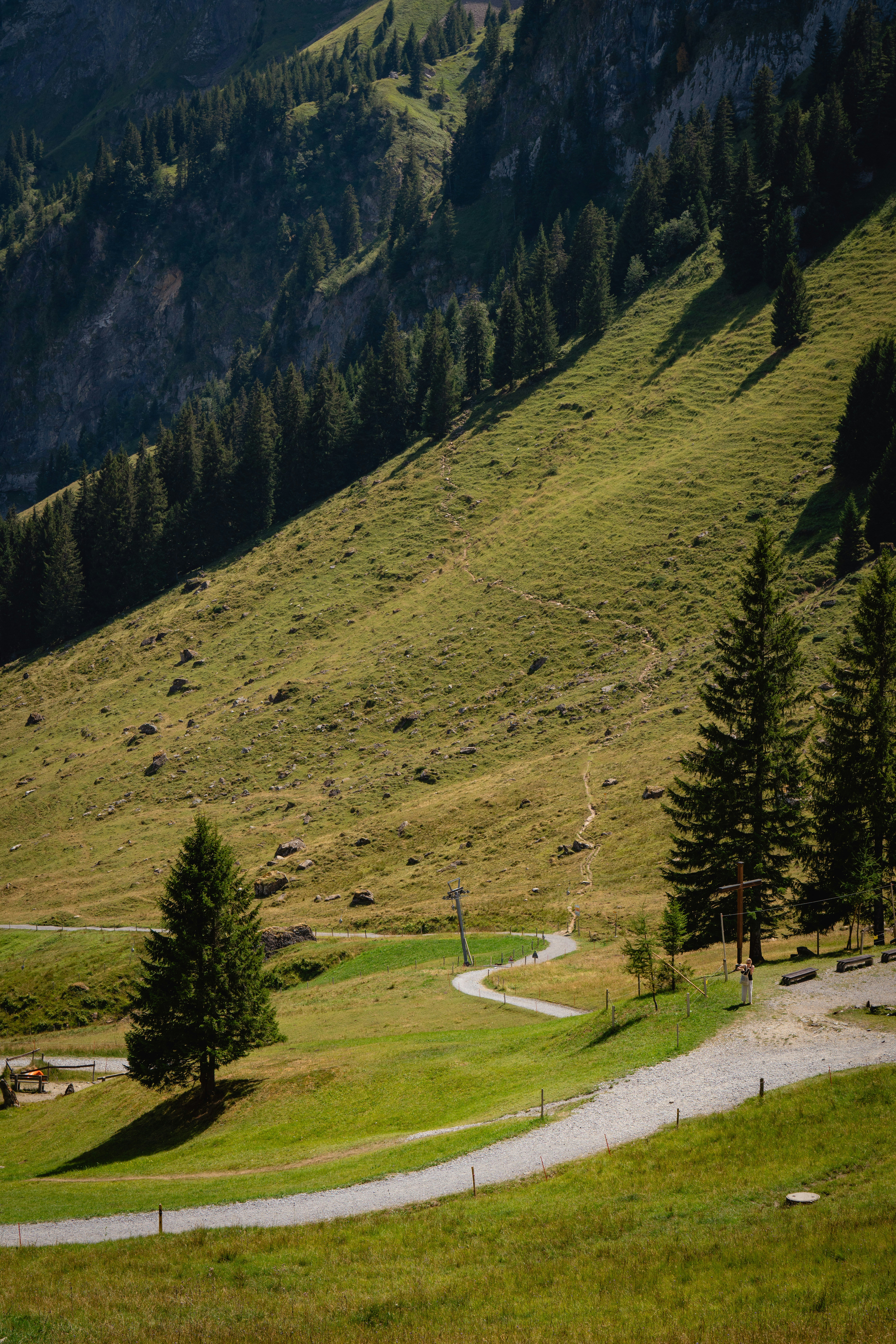 Switchback through the Alpine Meadow