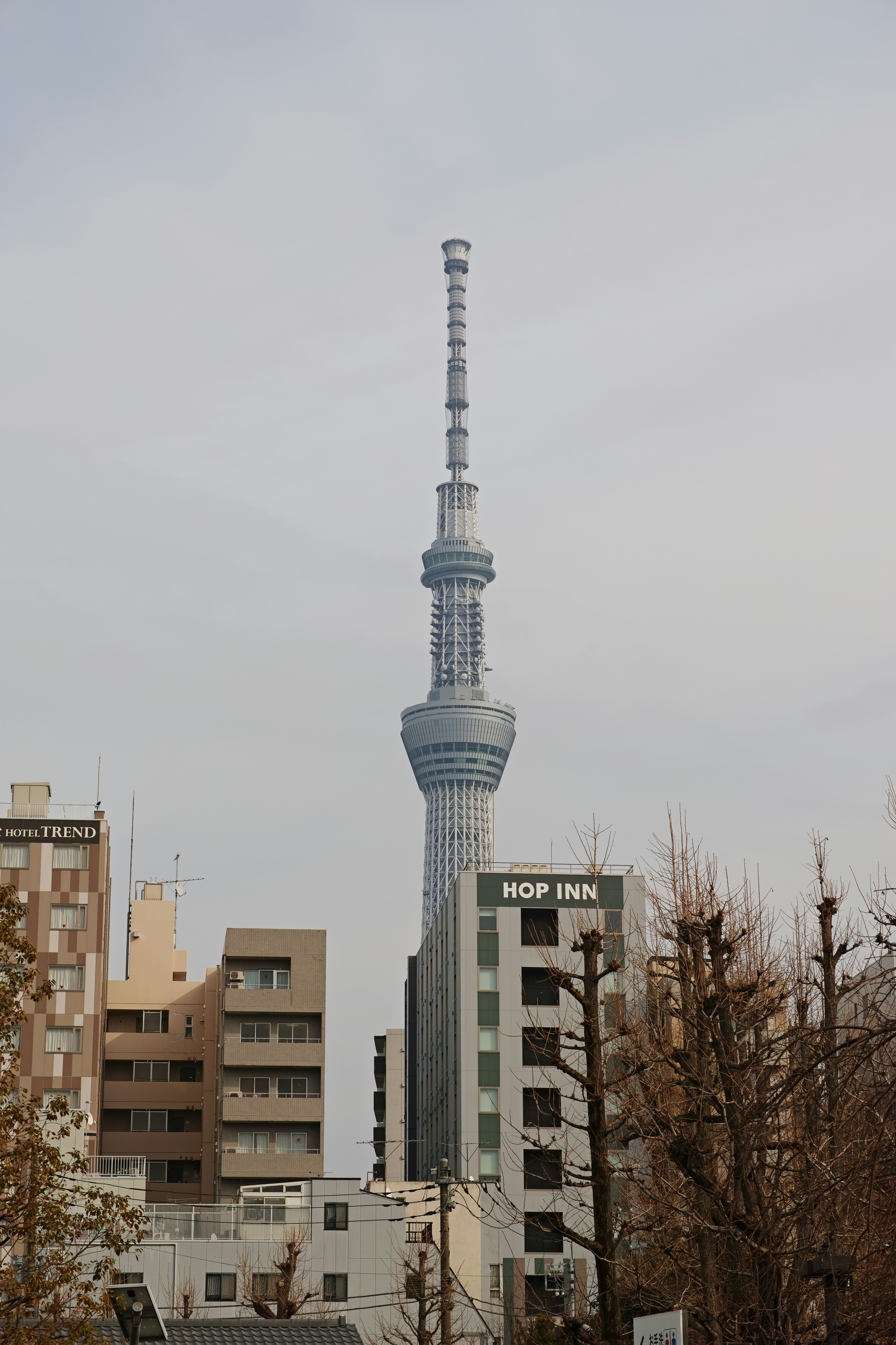 Tall tower dominates a quiet cityscape with mid-rise buildings at its base and bare trees in the foreground.