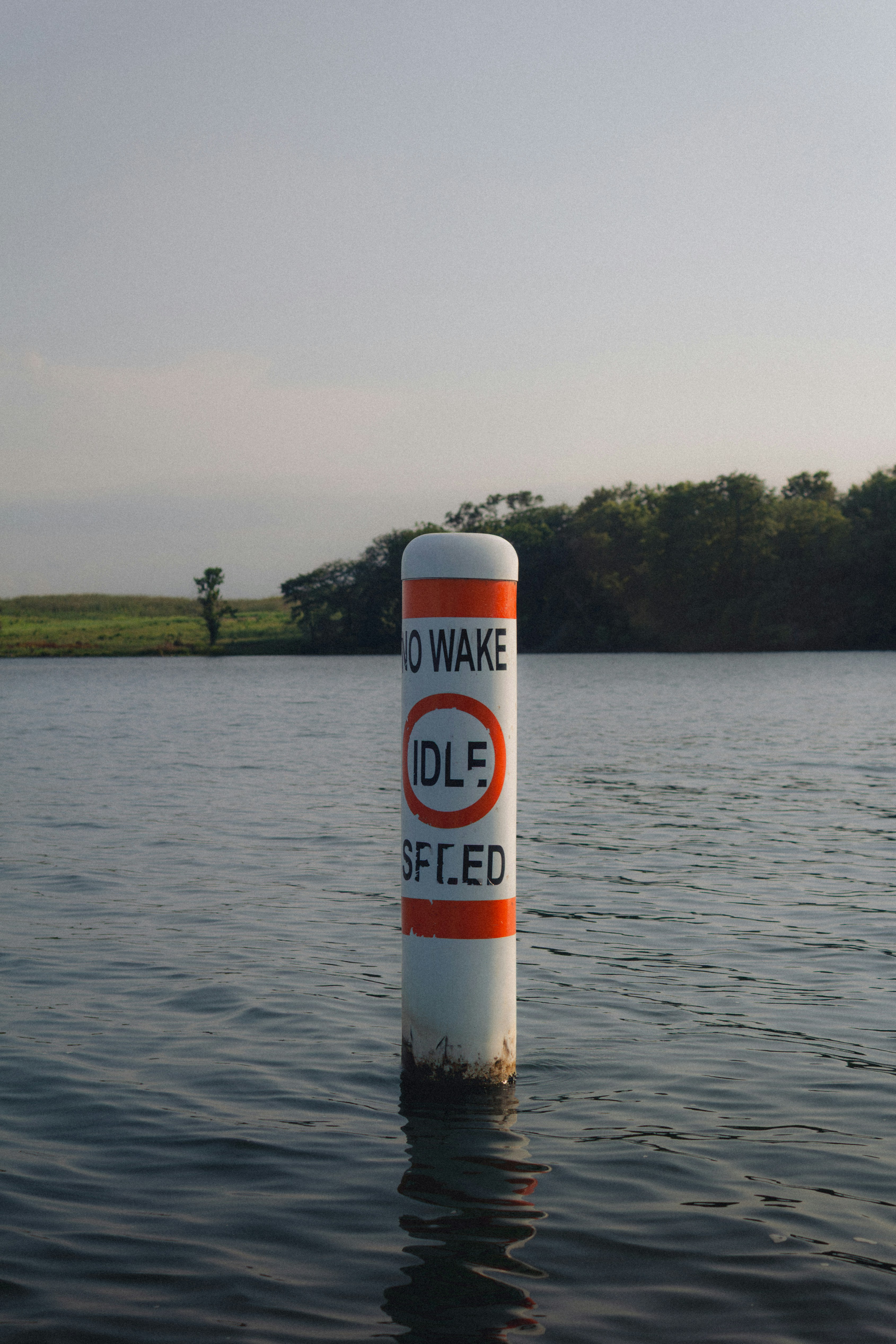 Marker on the Quiet Lake: Red Ring Post in Calm Waters