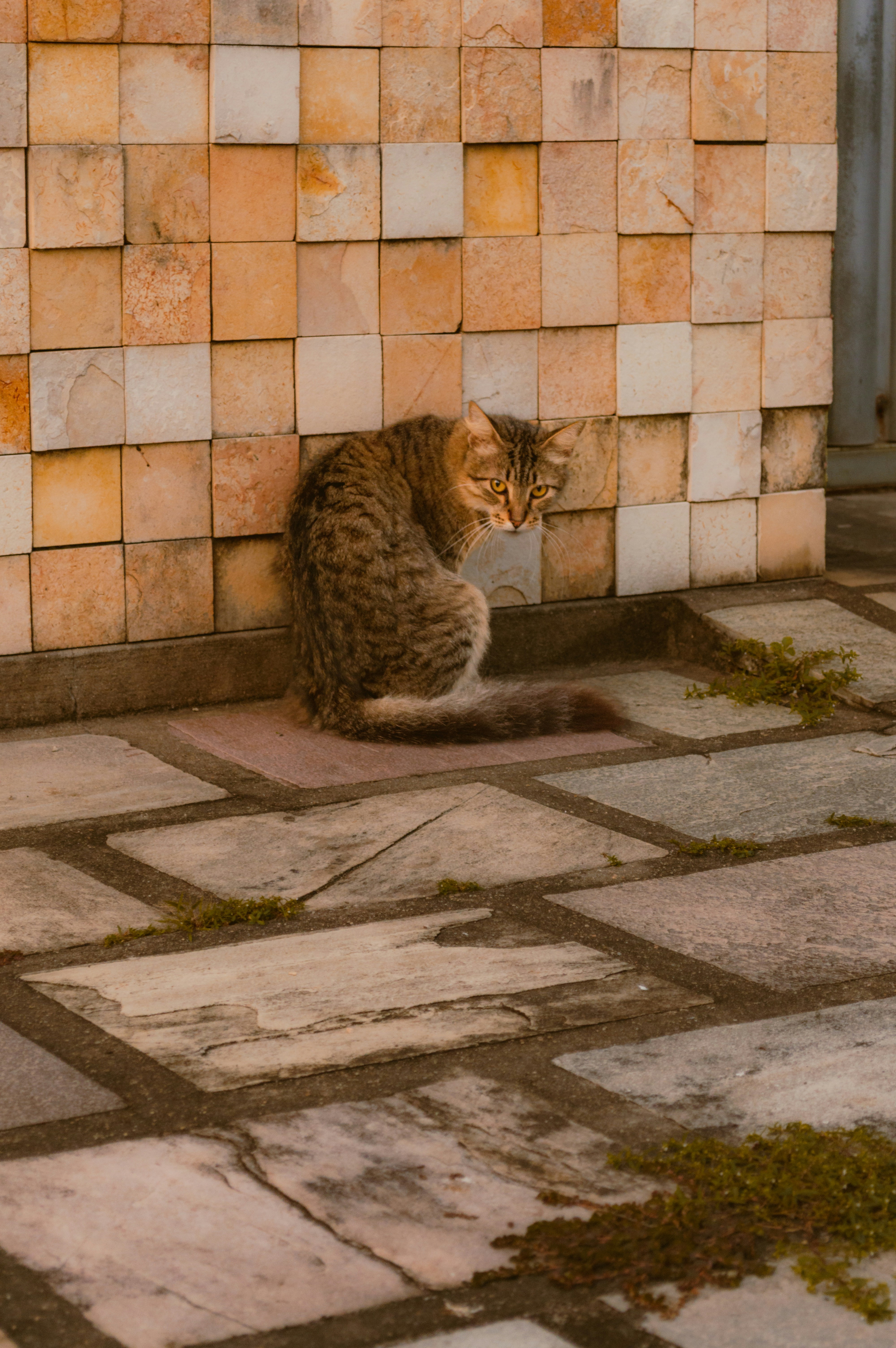 Terracotta Facade Watcher