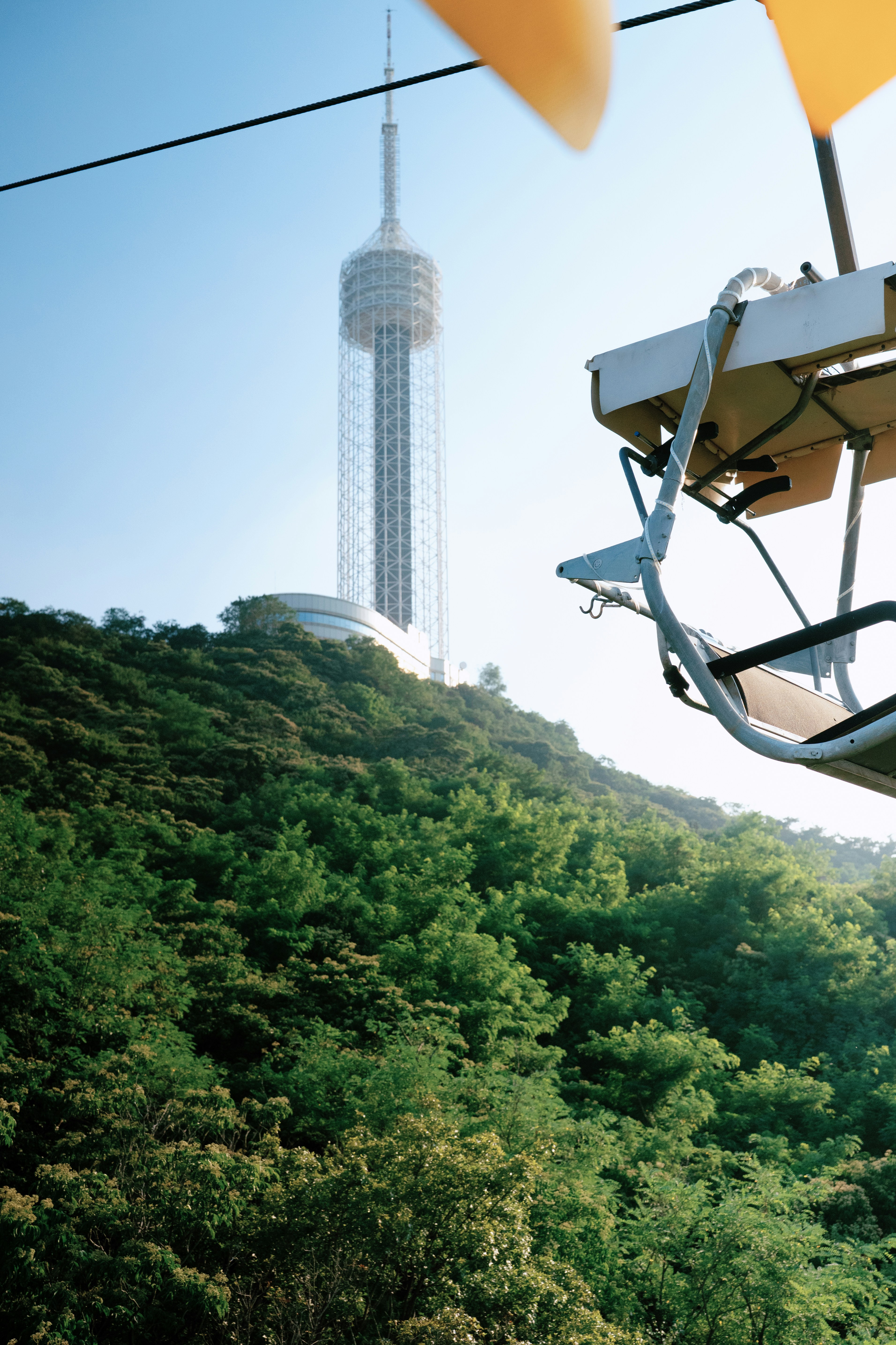 Tokyo Tower Above the Green Canopy from a Cable Car Ride