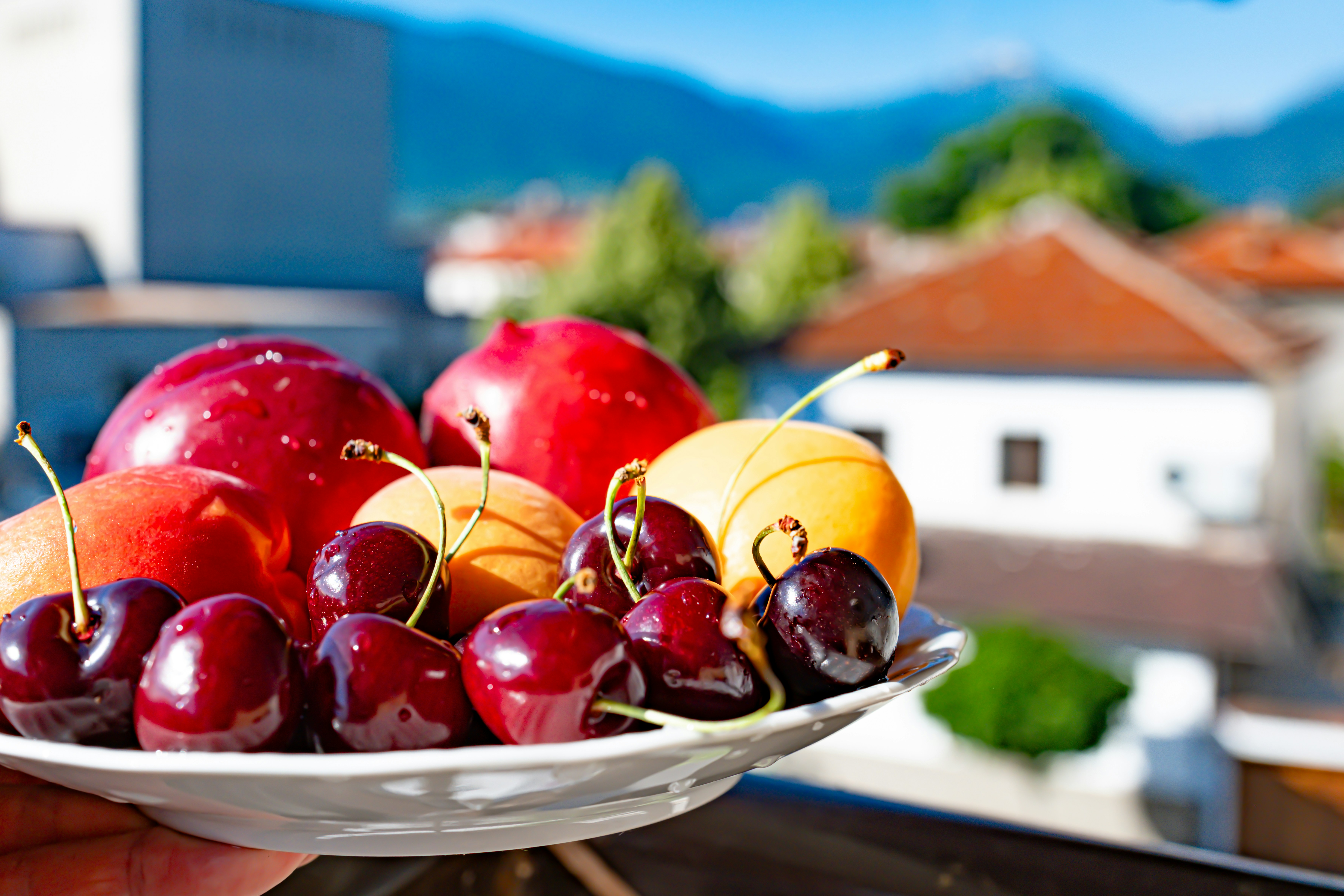 Crimson Harvest: A Plate of Glistening Cherries Against a Sunlit Balcony