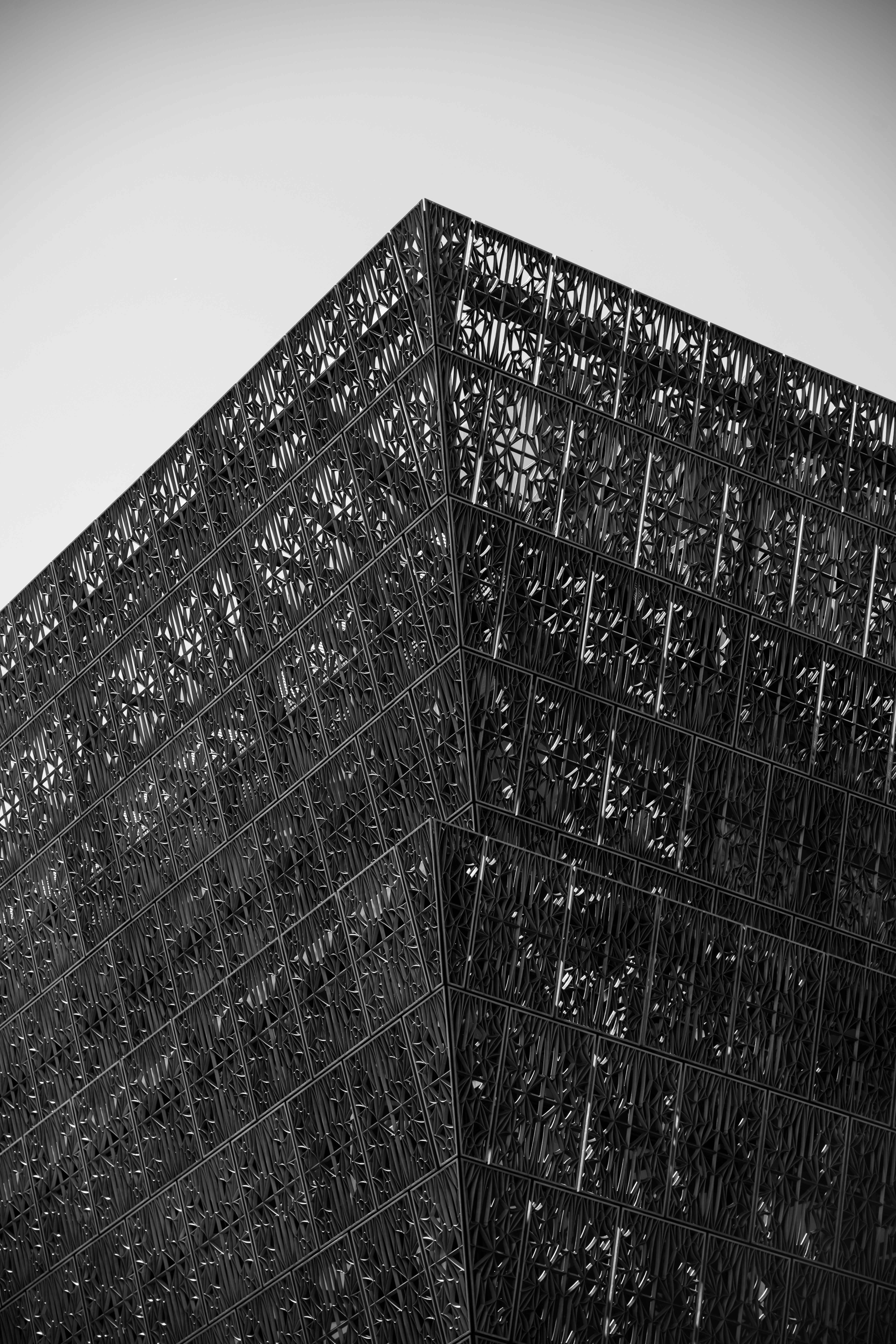 Angled Facade: A Lattice of Light and Shadow