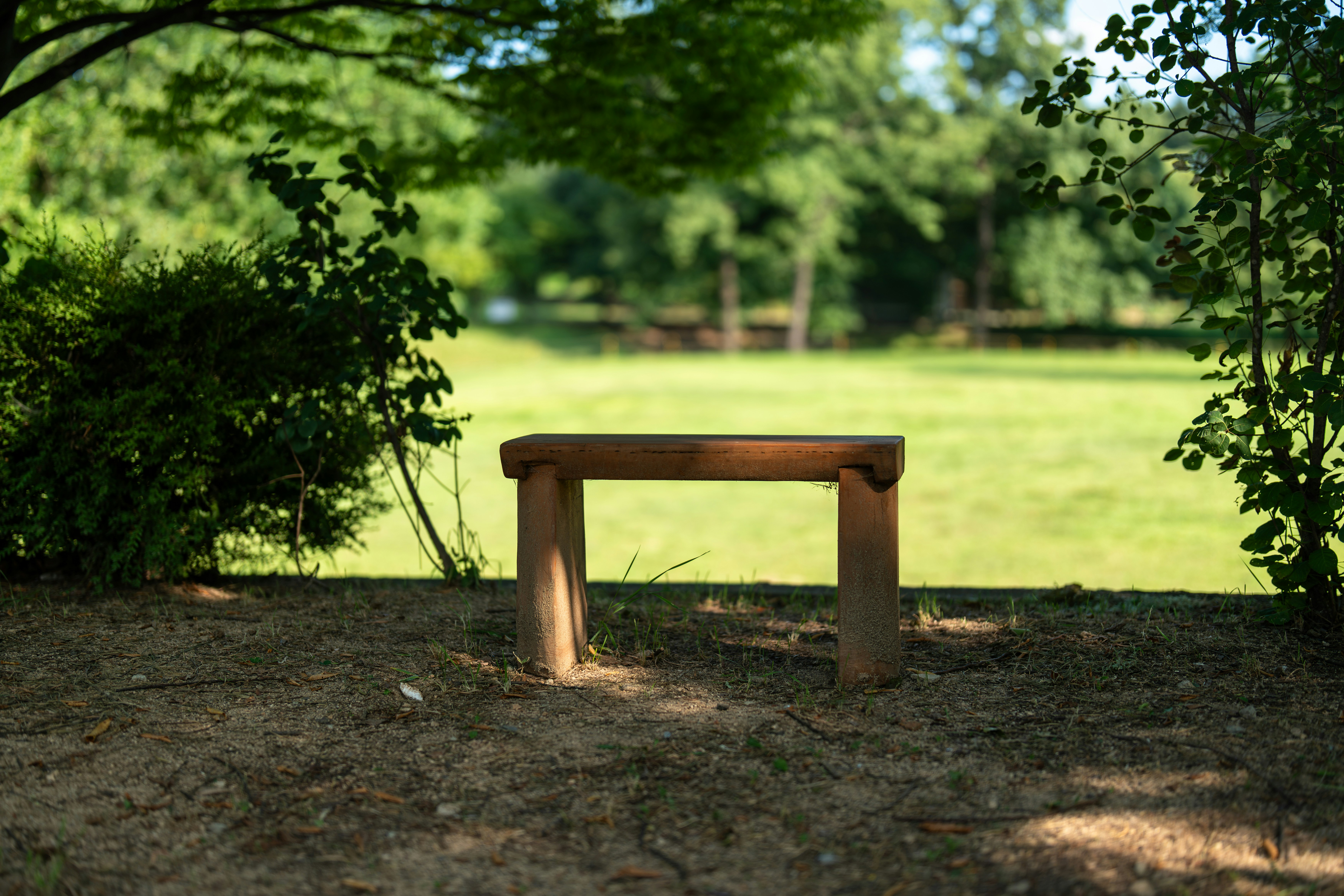 Solitary Bench in Dappled Park Light