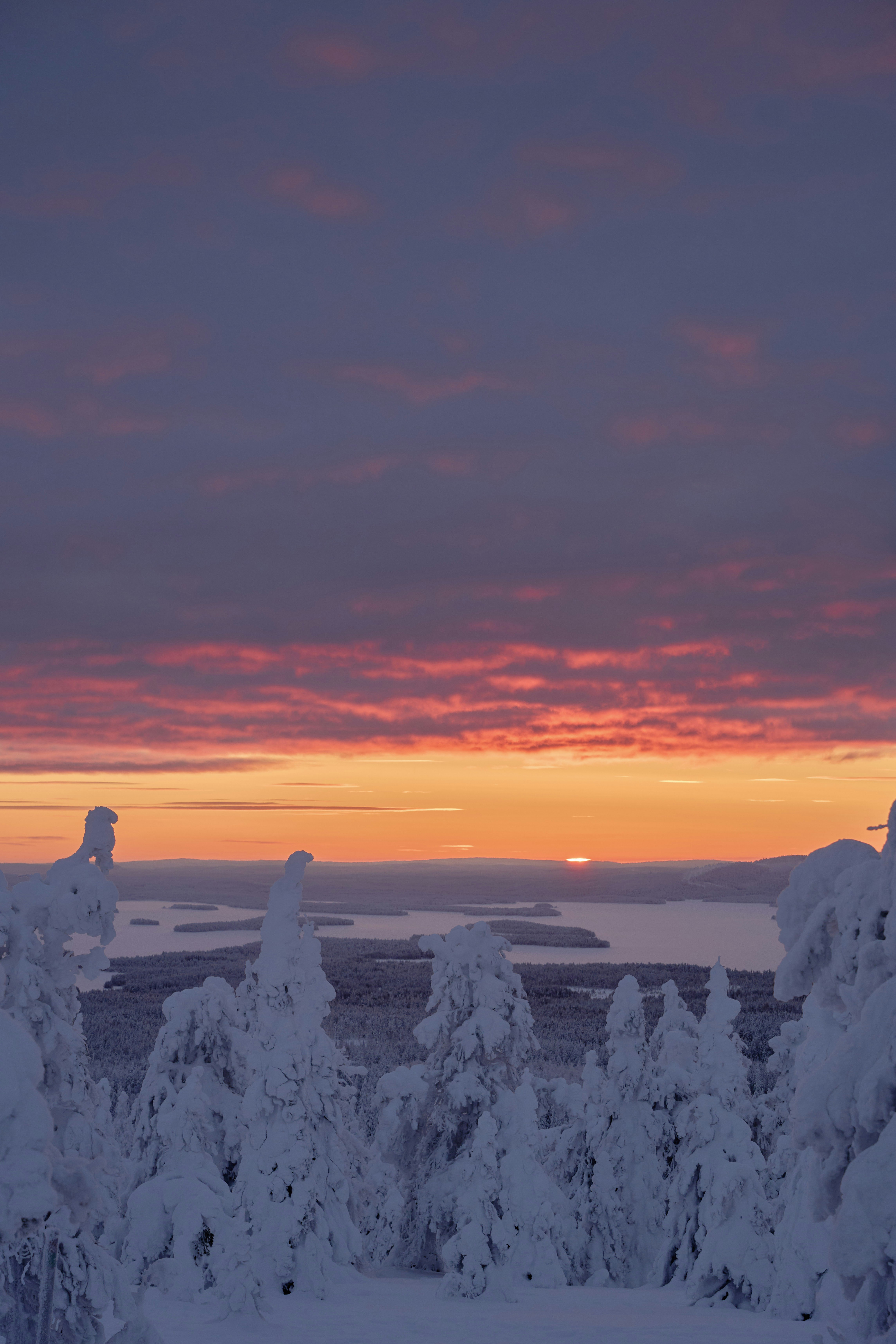 Twilight Over Frost-Capped Pines