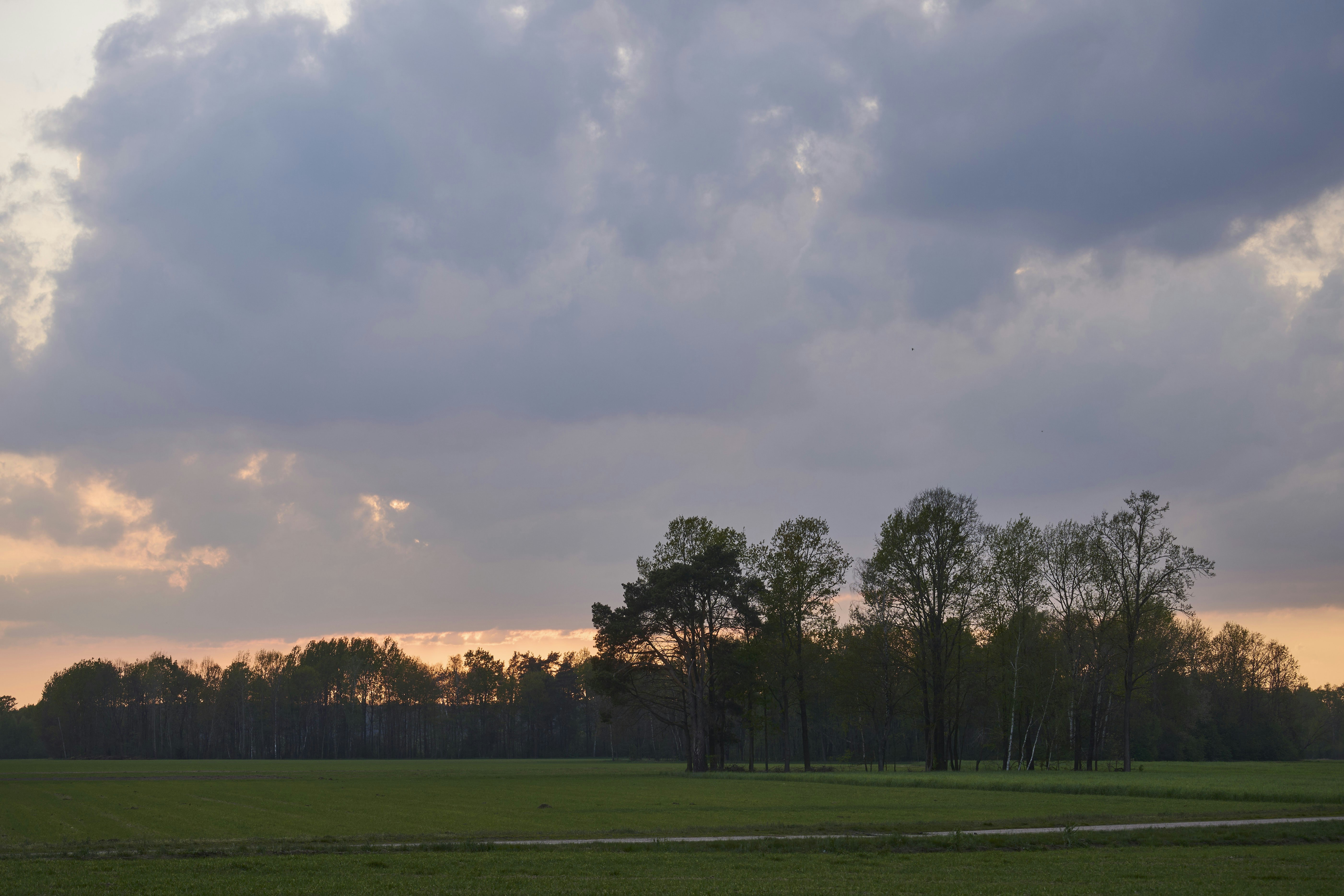 Evening Horizon Over Quiet Farmland
