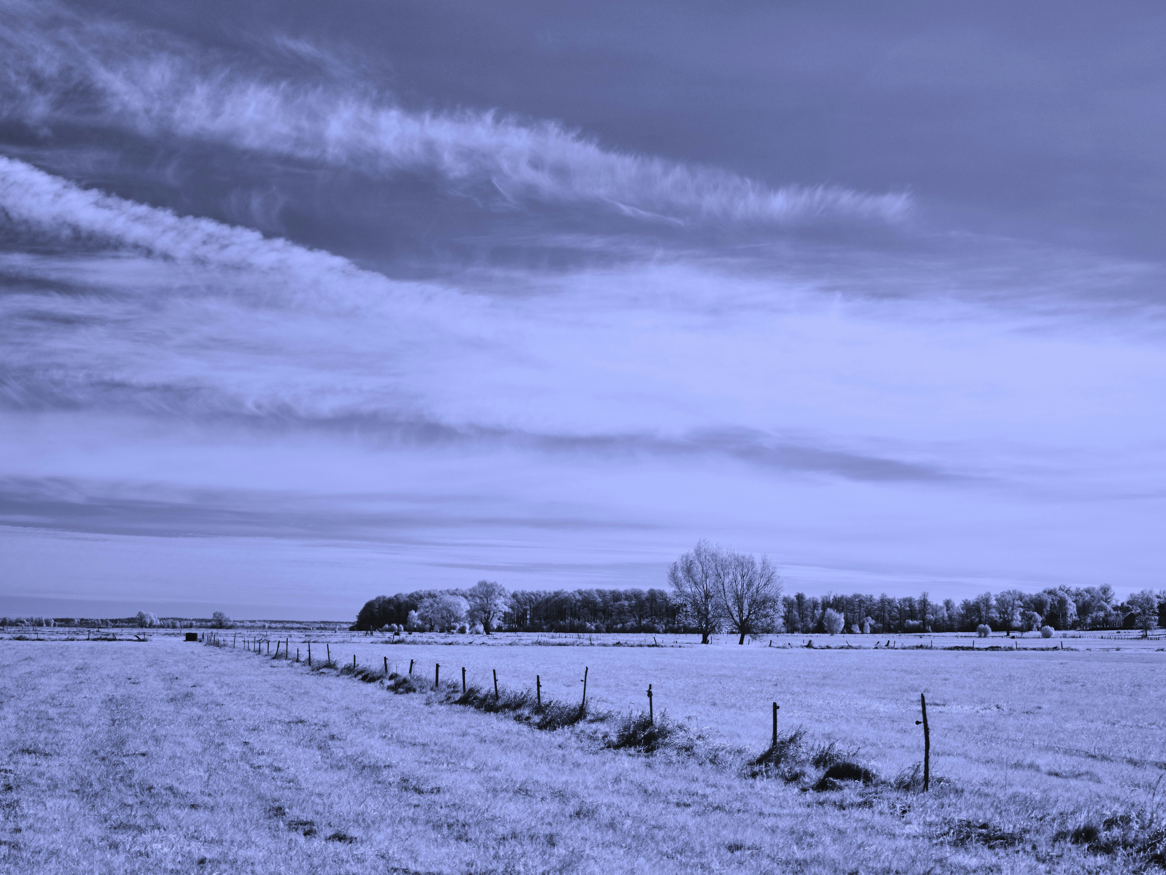 Frozen Horizon: Snow-blanketed Field Under Expansive Sky