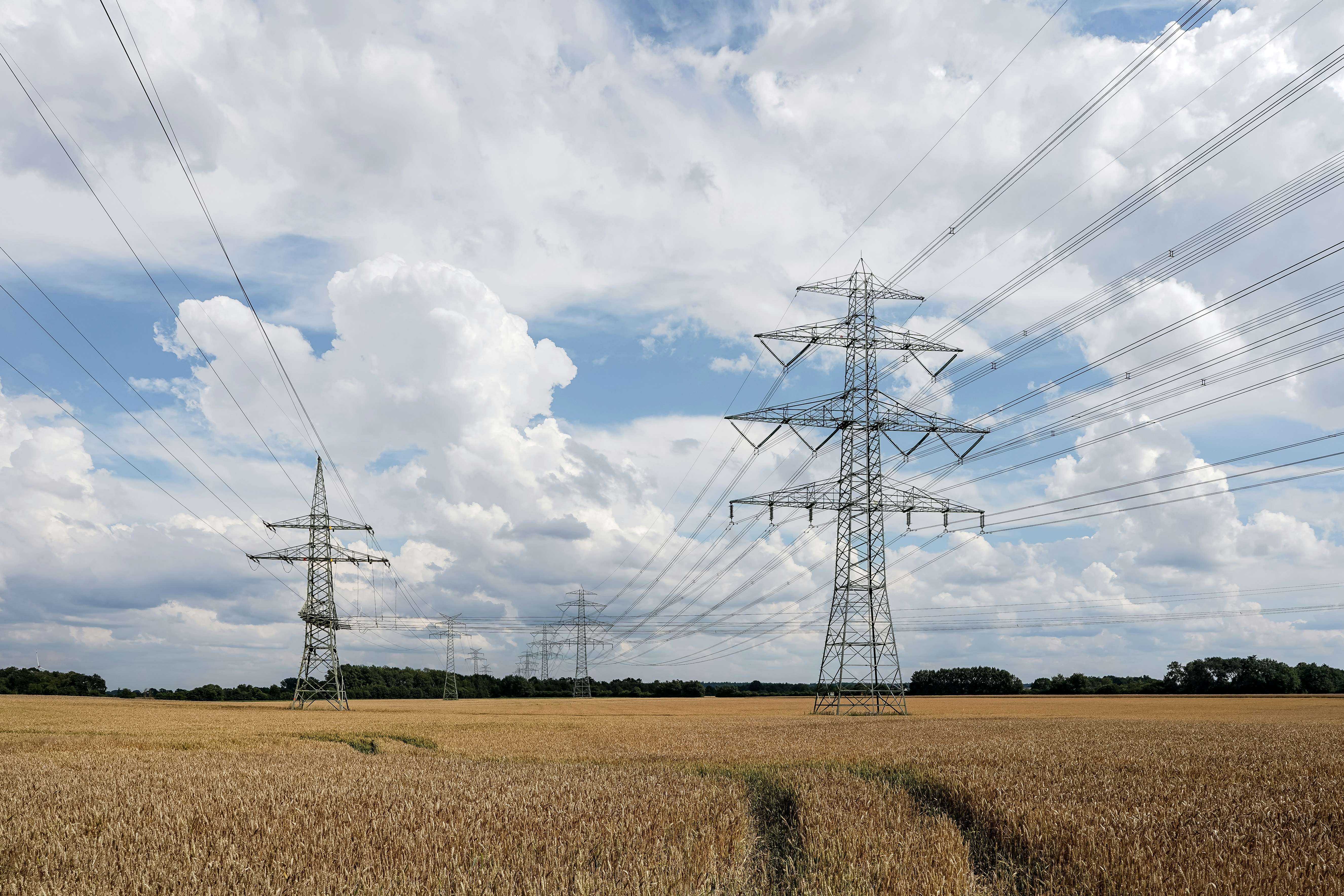 Across the Golden Plains under a Grid of Clouds